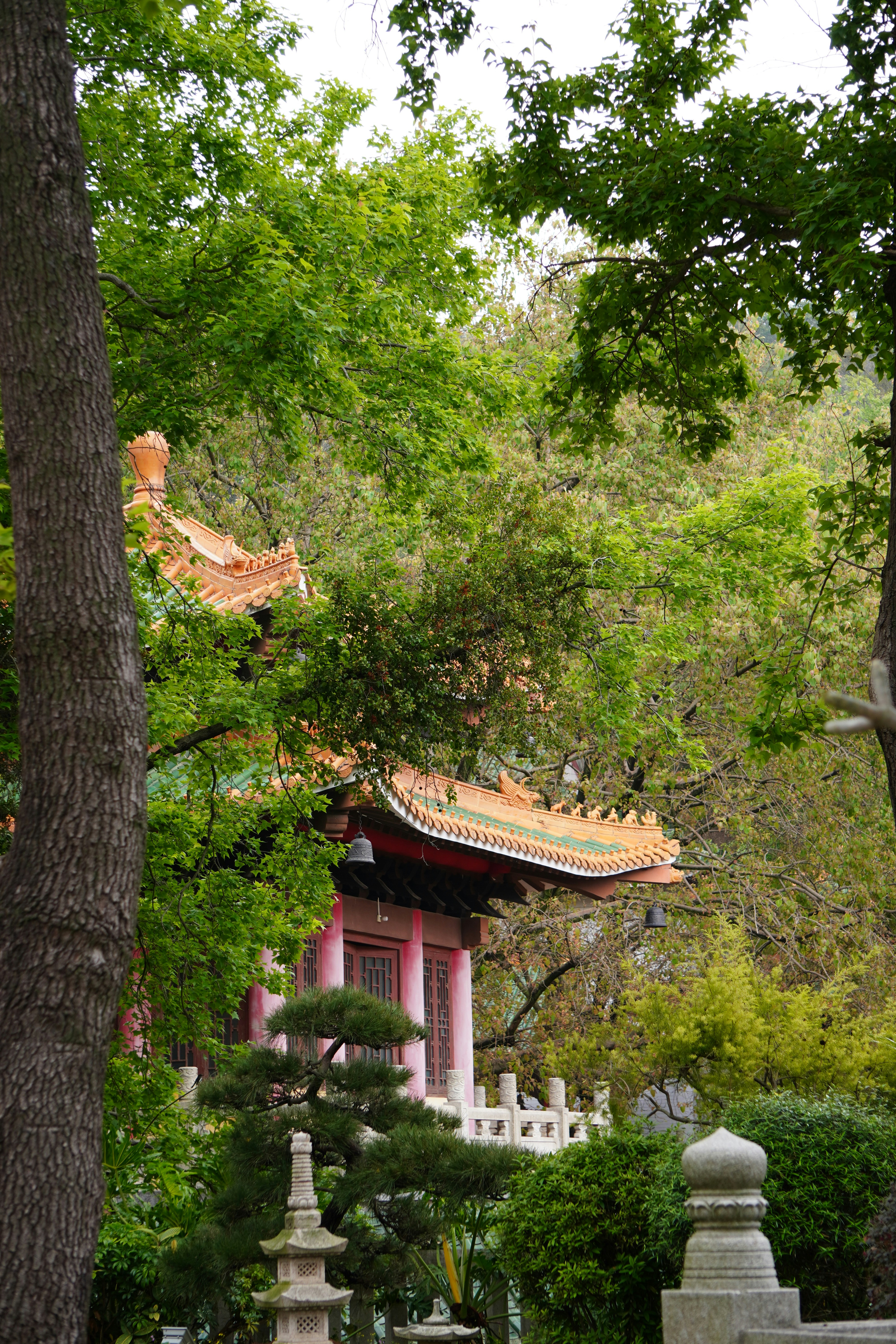Temple Roofs Amid Green Canopy