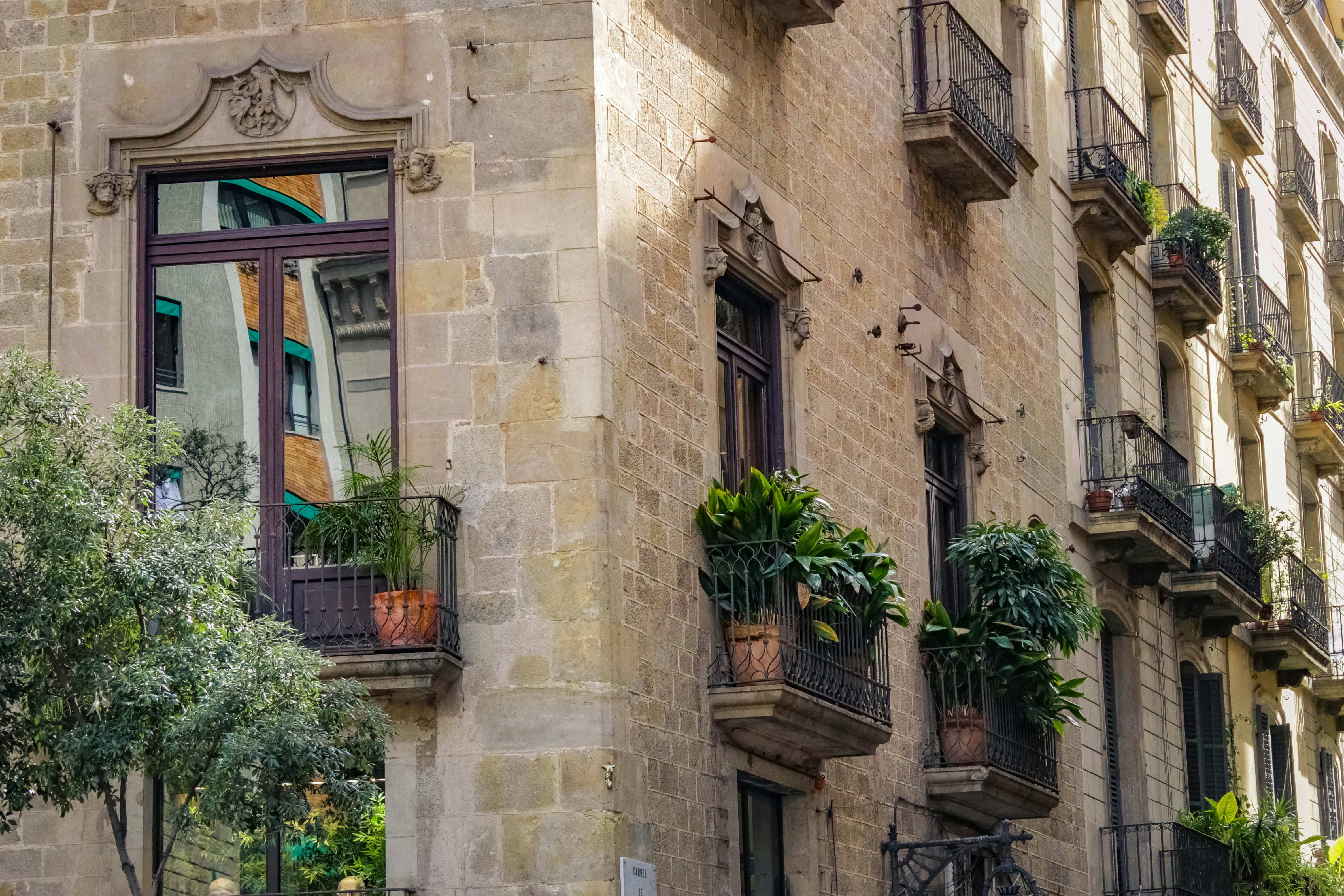 Stone Facade with Verdant Window Boxes