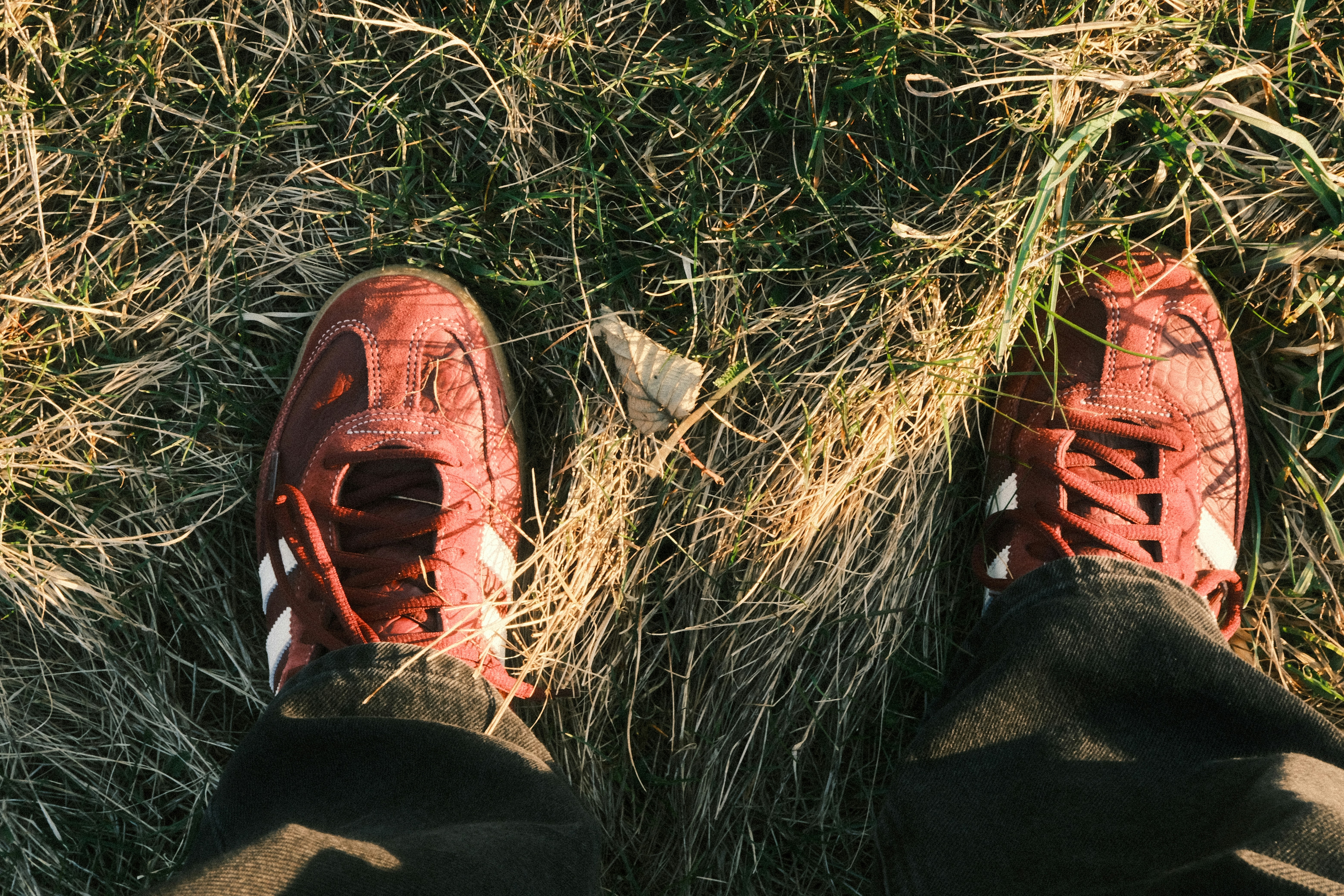 Red Sneakers in A Grass-Drawn Path