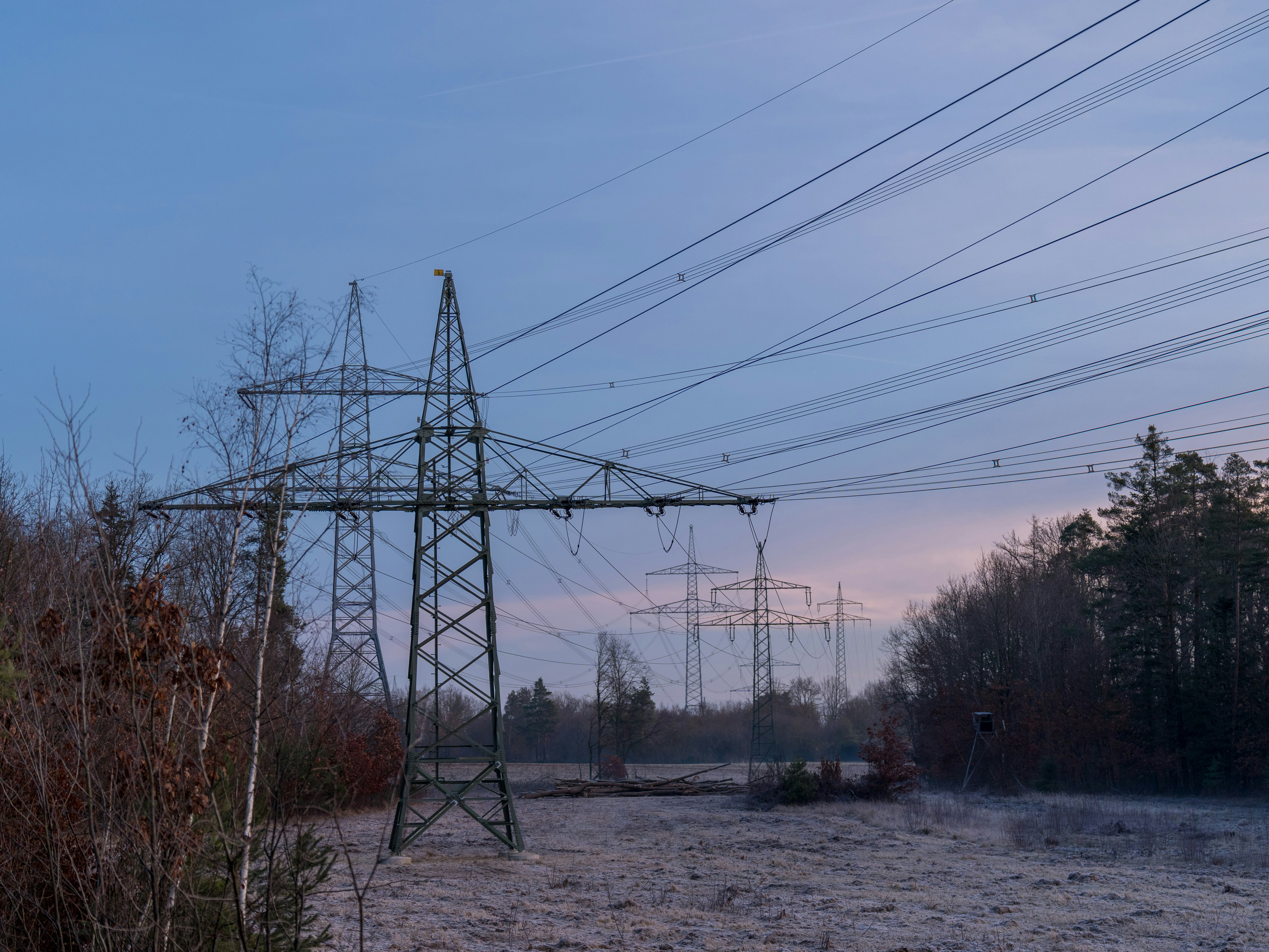 Power Lines at Dusk: Silent Grid Above a Frosted Clearing