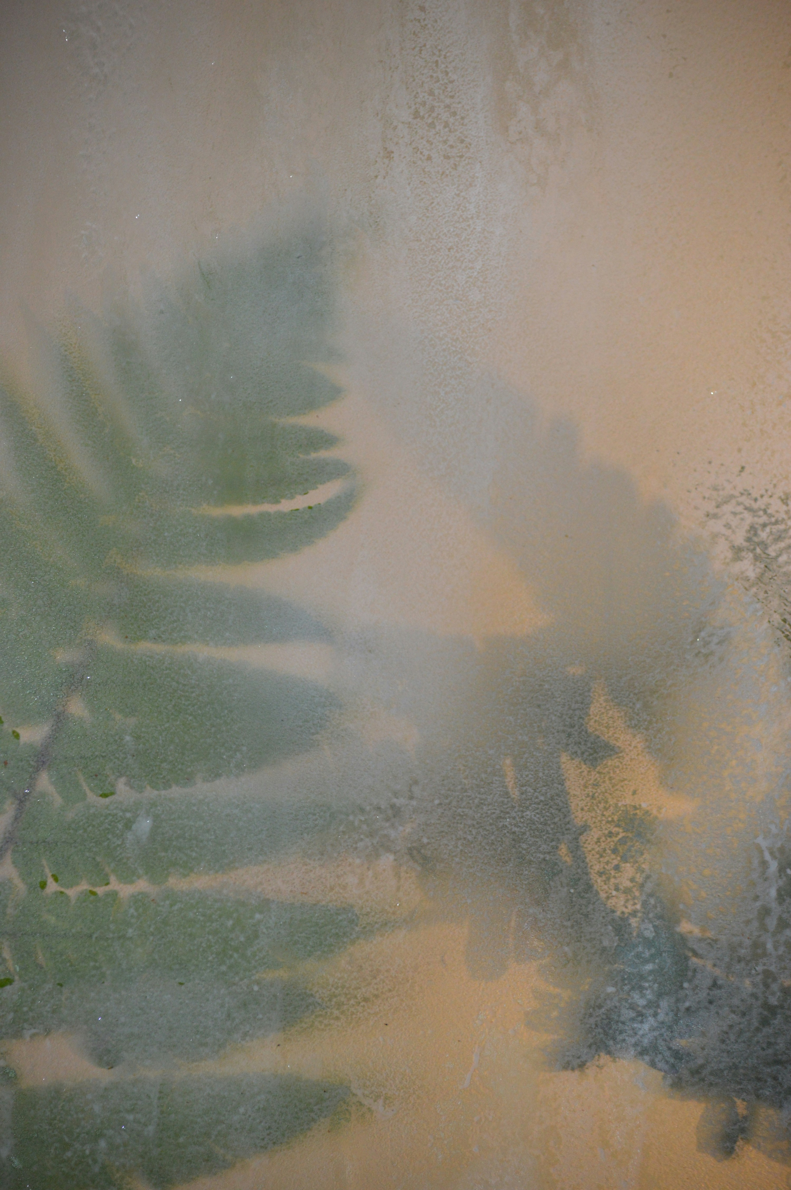 Blurred Greenery Behind Frosted Glass