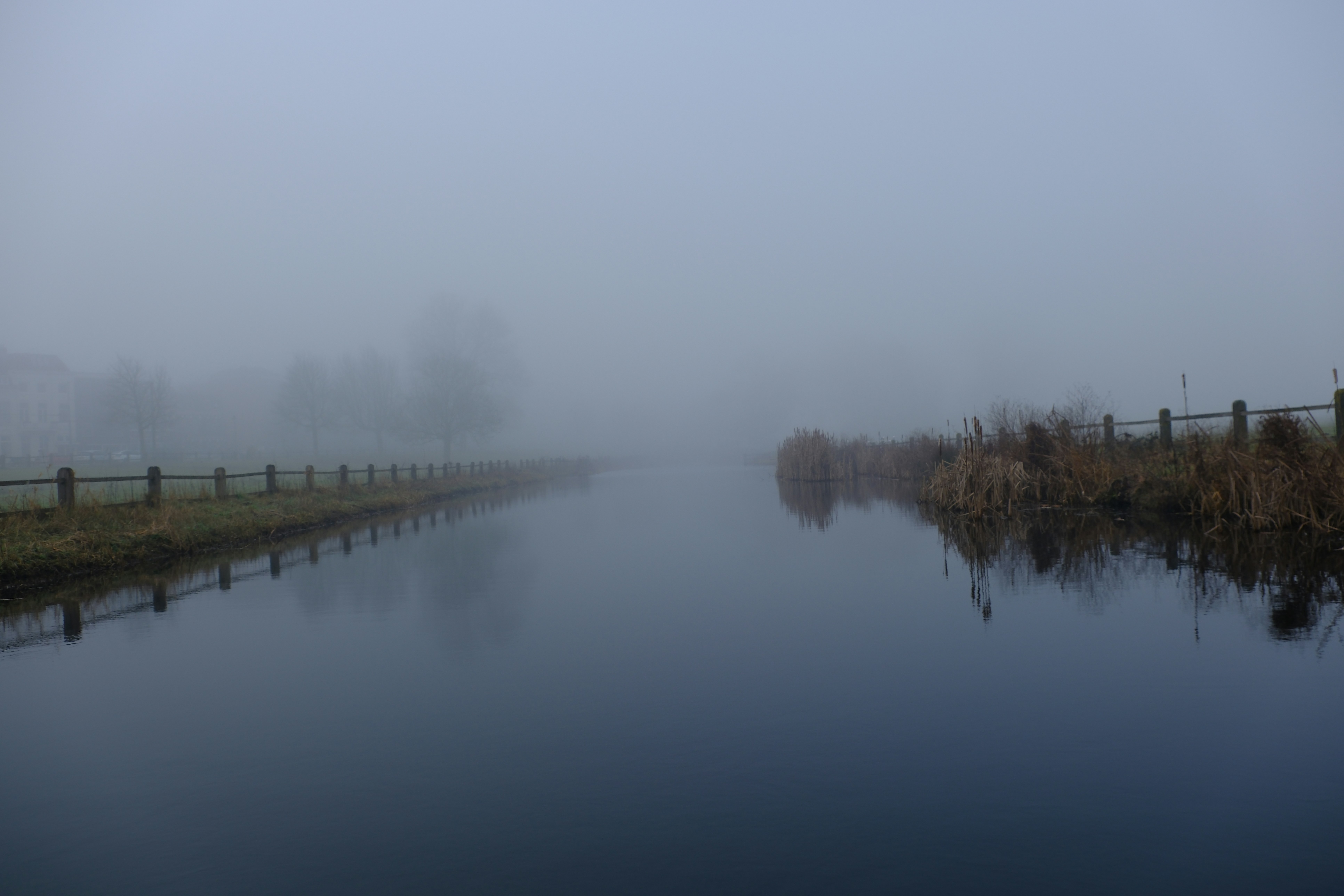 Fog over the Quiet Canal