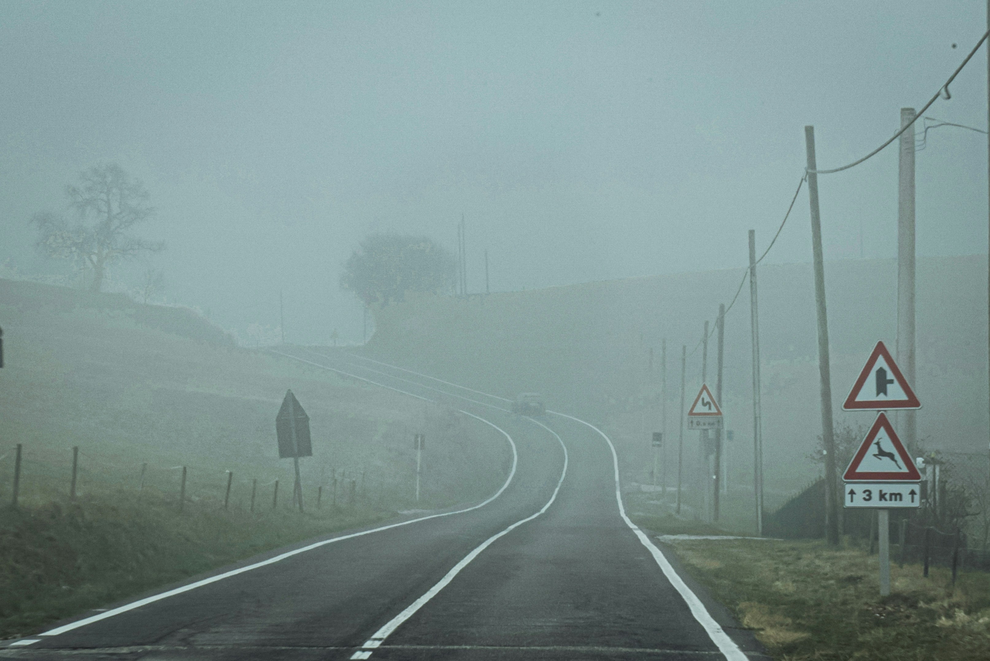 Mist on the Winding Rural Road