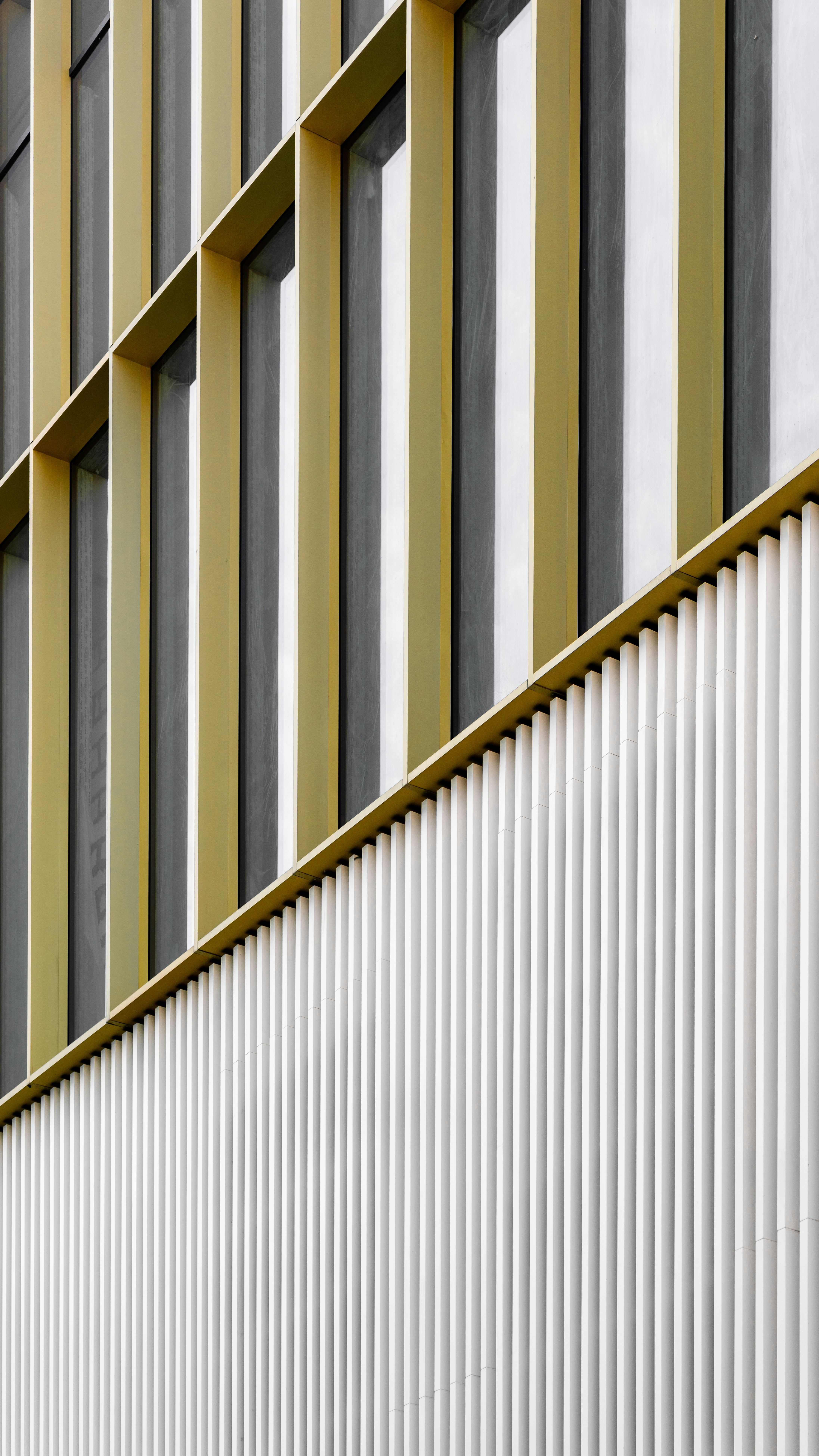 Parallel Echoes: Vertical Slats Meet Sunlit Stripes