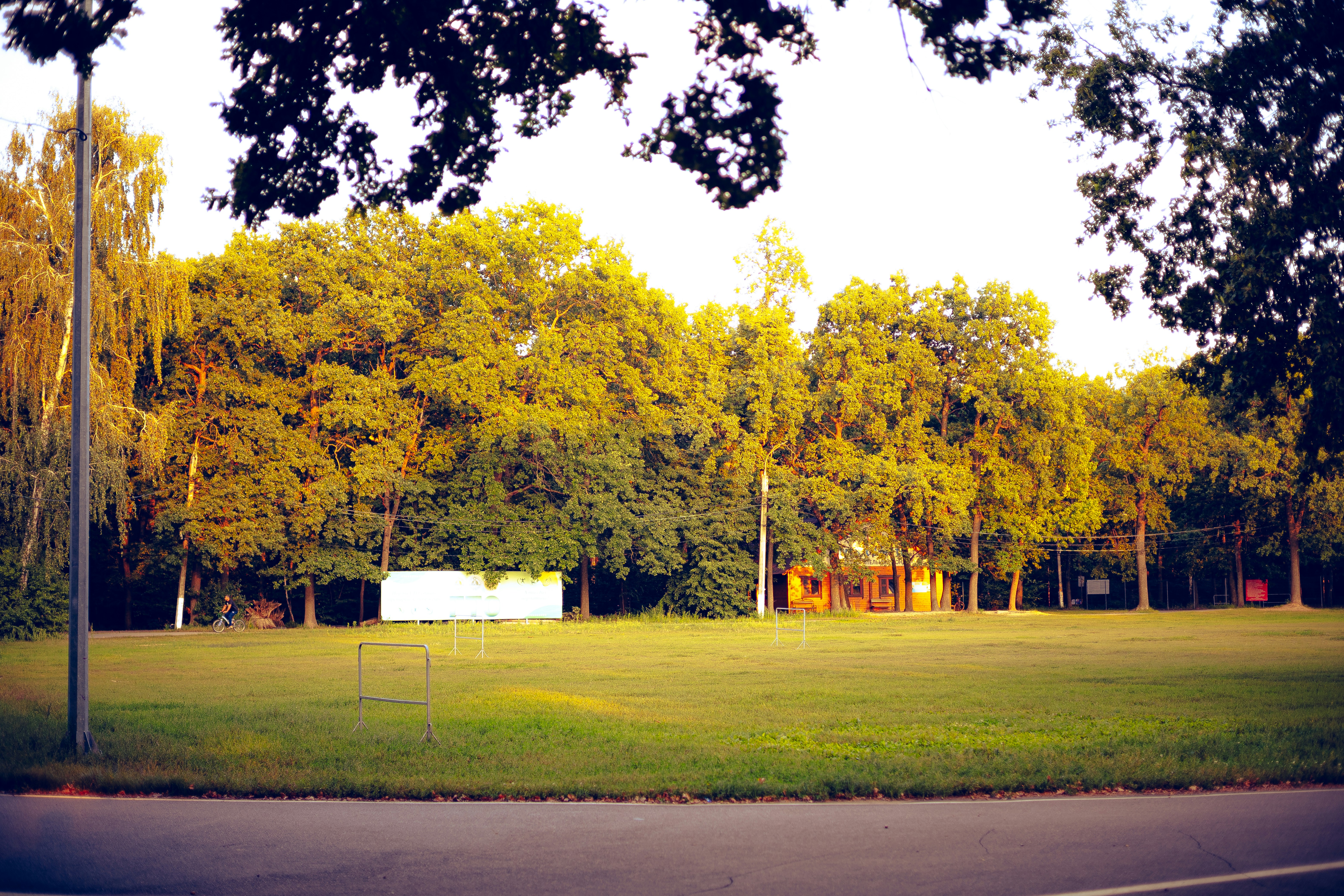 Sunlit Park Aglow: Trees, Open Lawn, and a Quiet Edge of Sunset