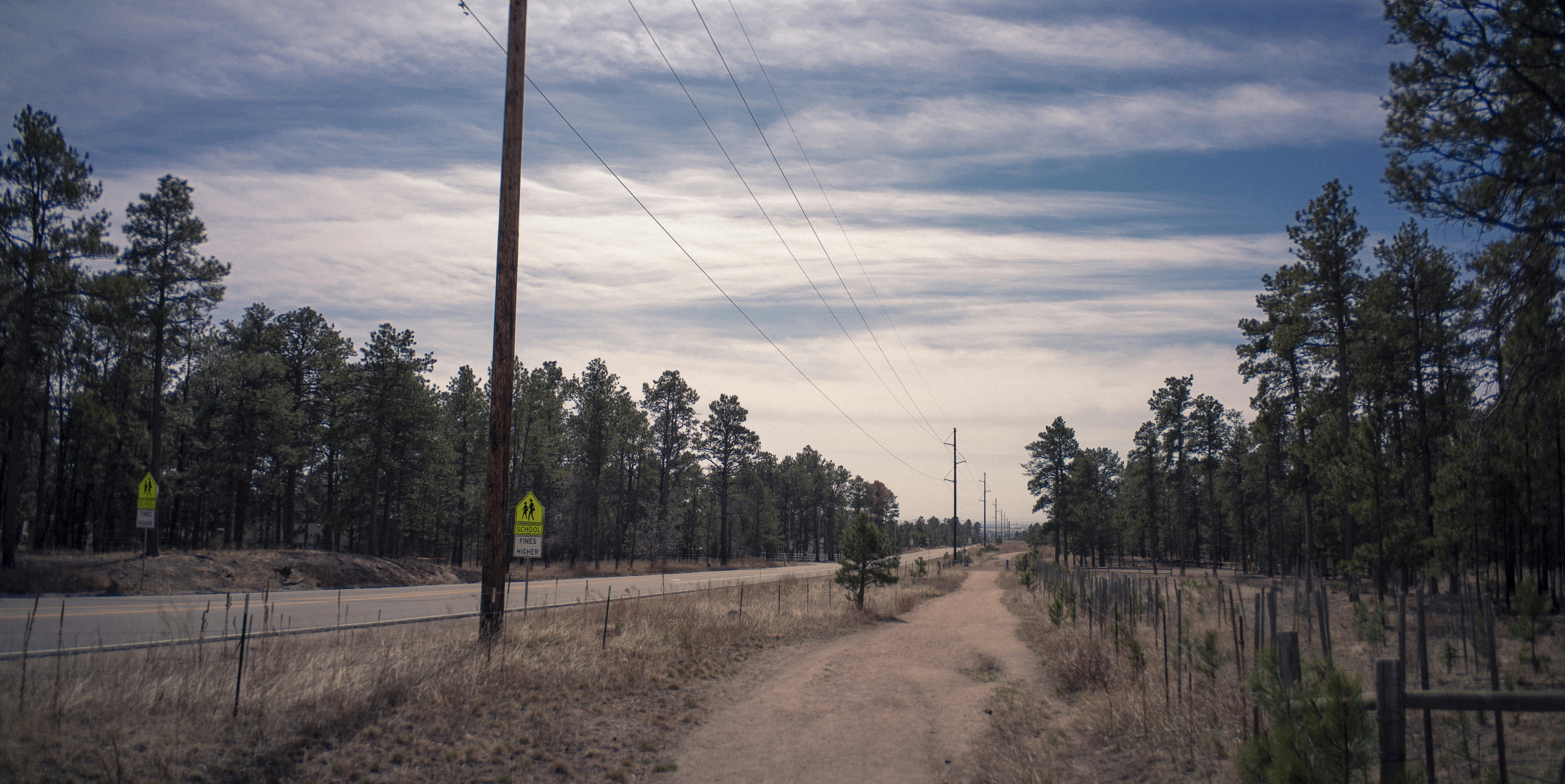 Dusty Pine Road into the Horizon