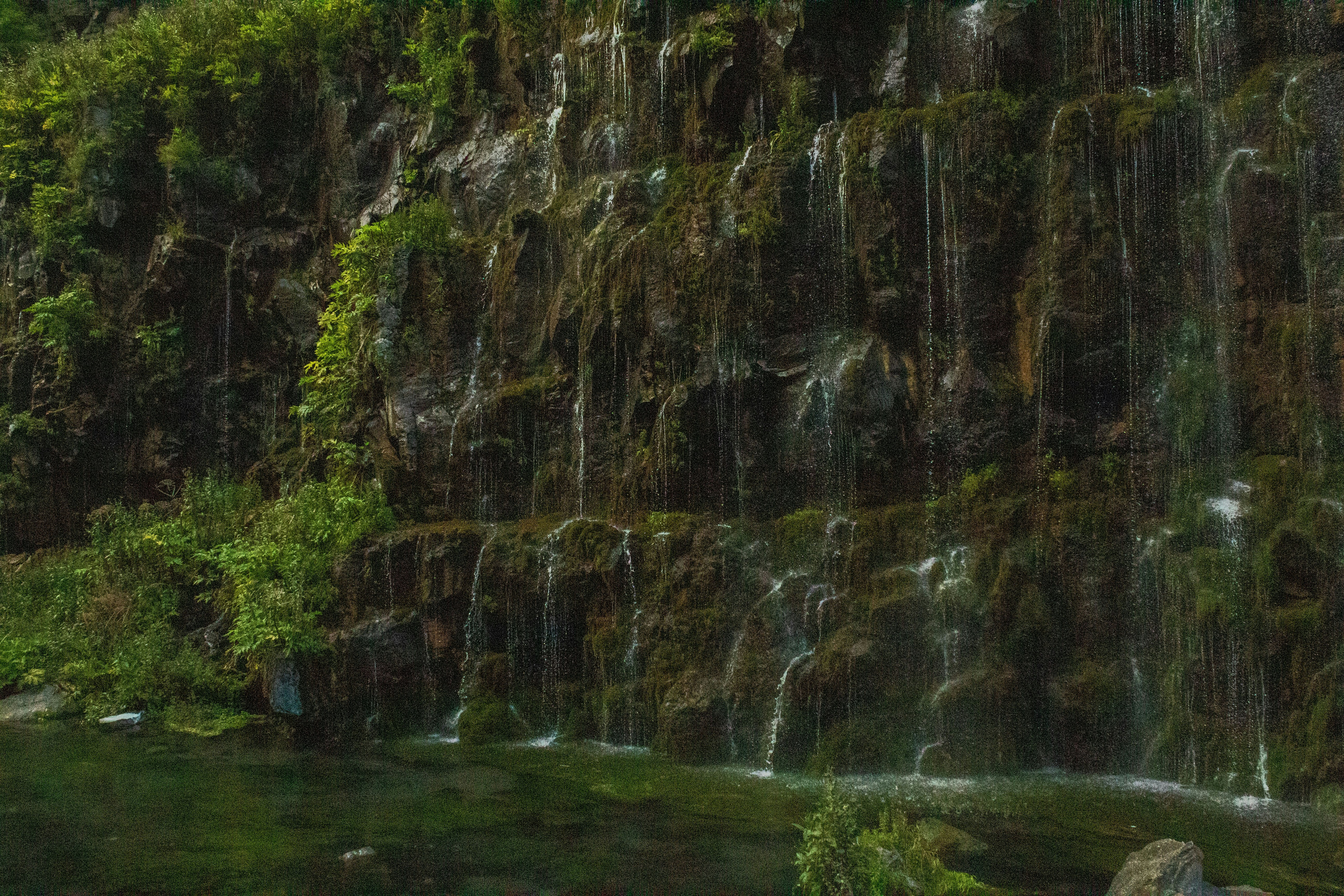 Veil of Green Cascades Over Quiet Pool