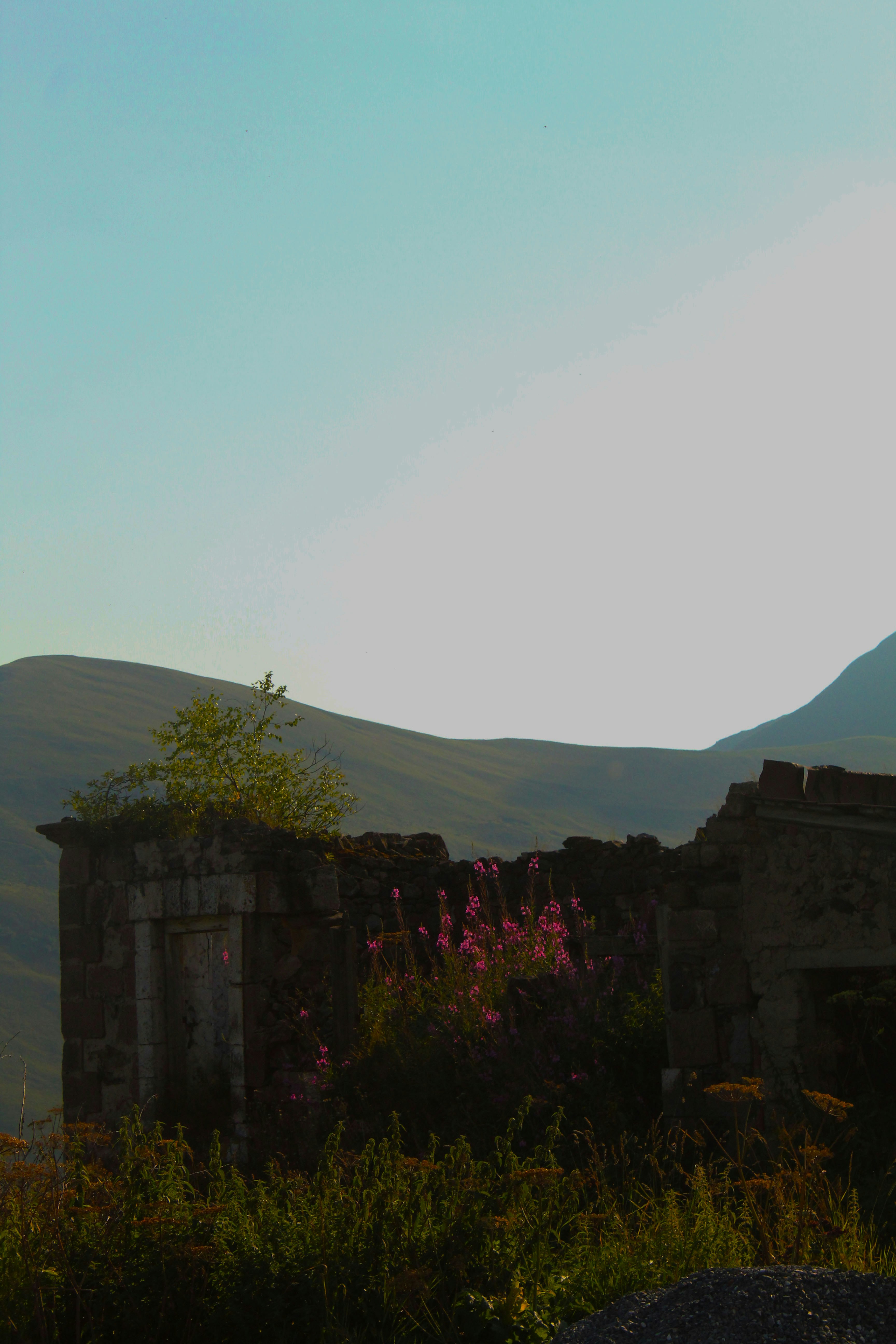 Sunlit Ruins Framed by Wildflowers on a Mountain Terrace