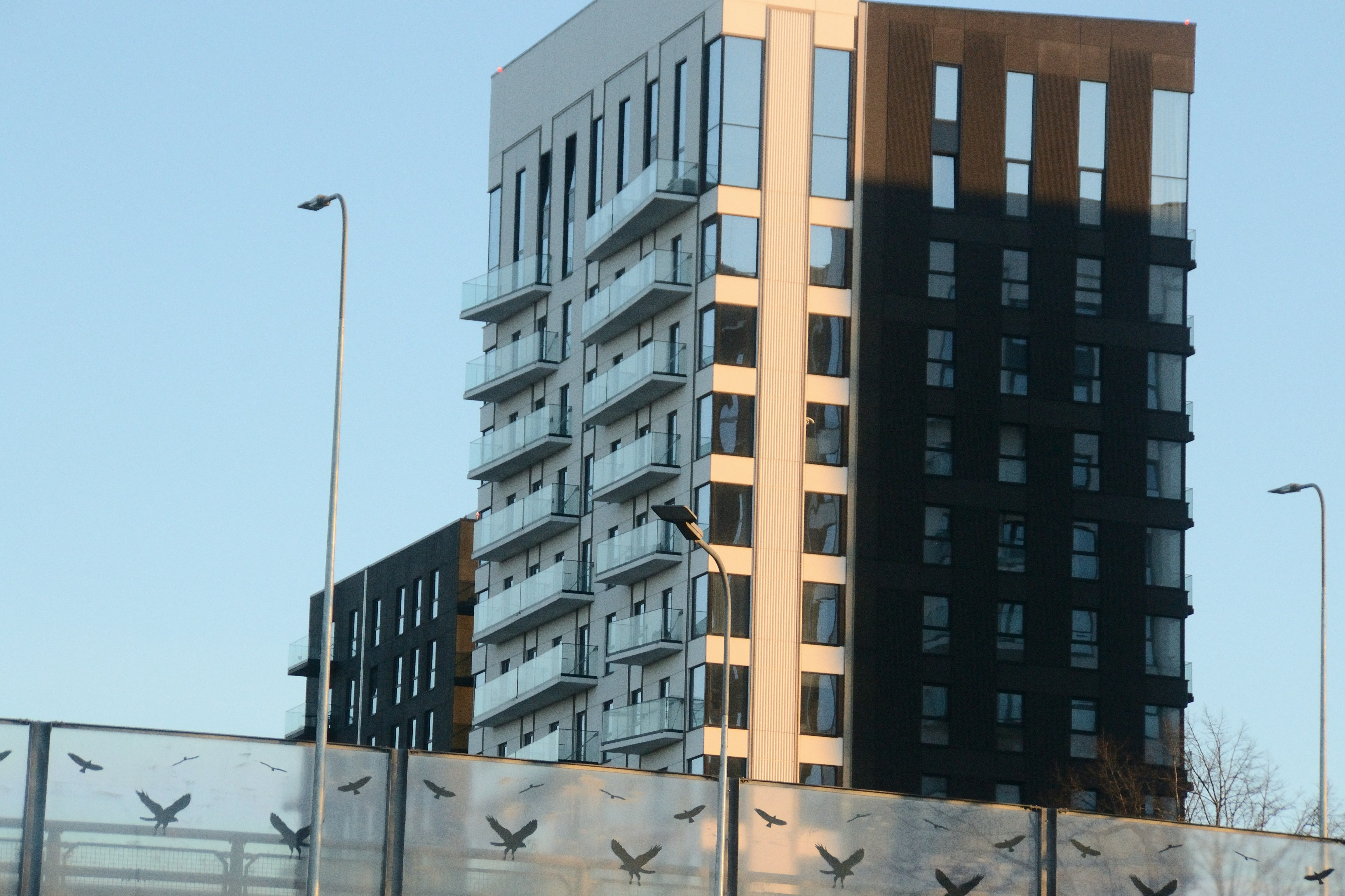 Modern Highrise Shadows: Glass Facades and Sunset-Soft Light