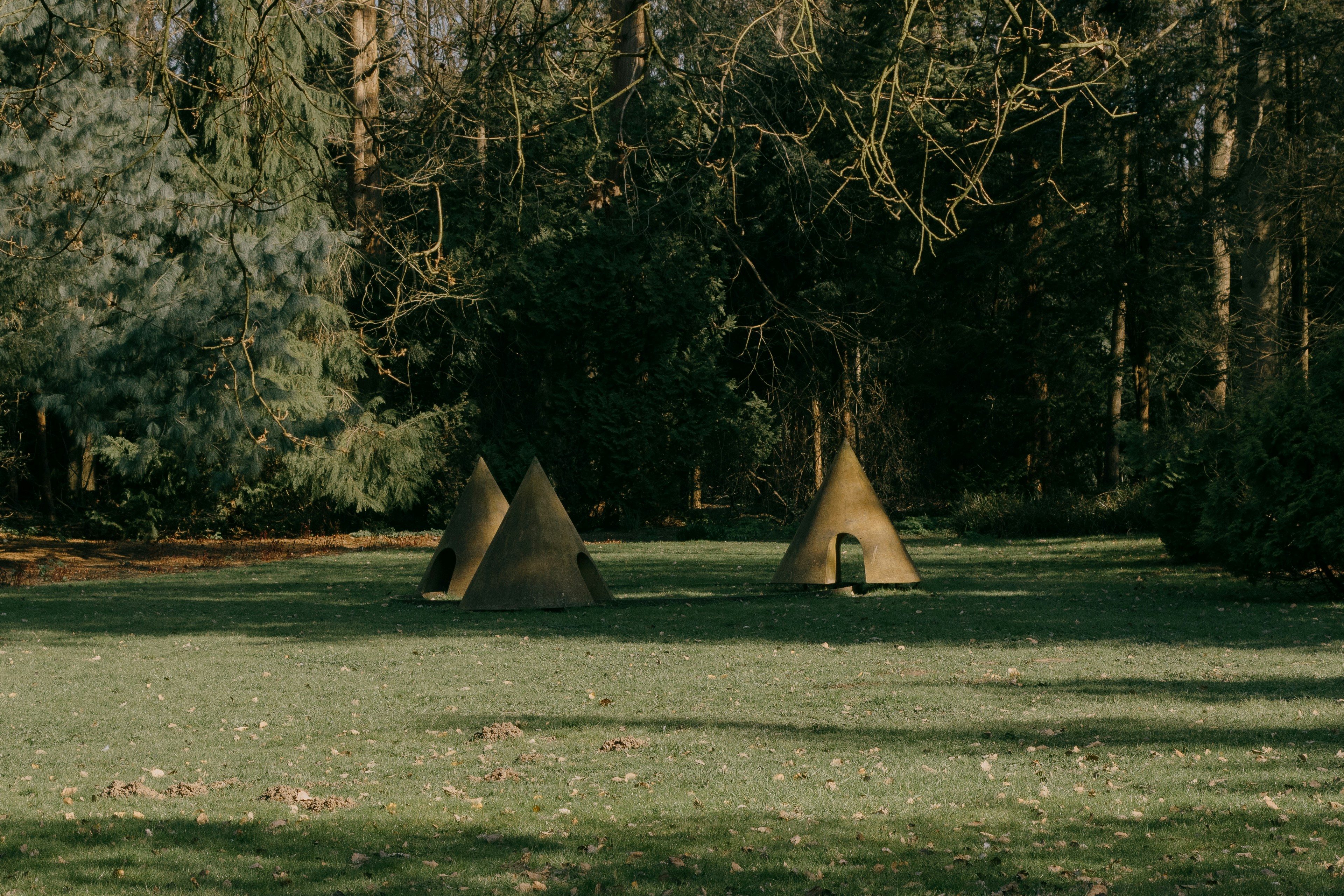 Two tepees in a sun-dappled meadow among pine shadows