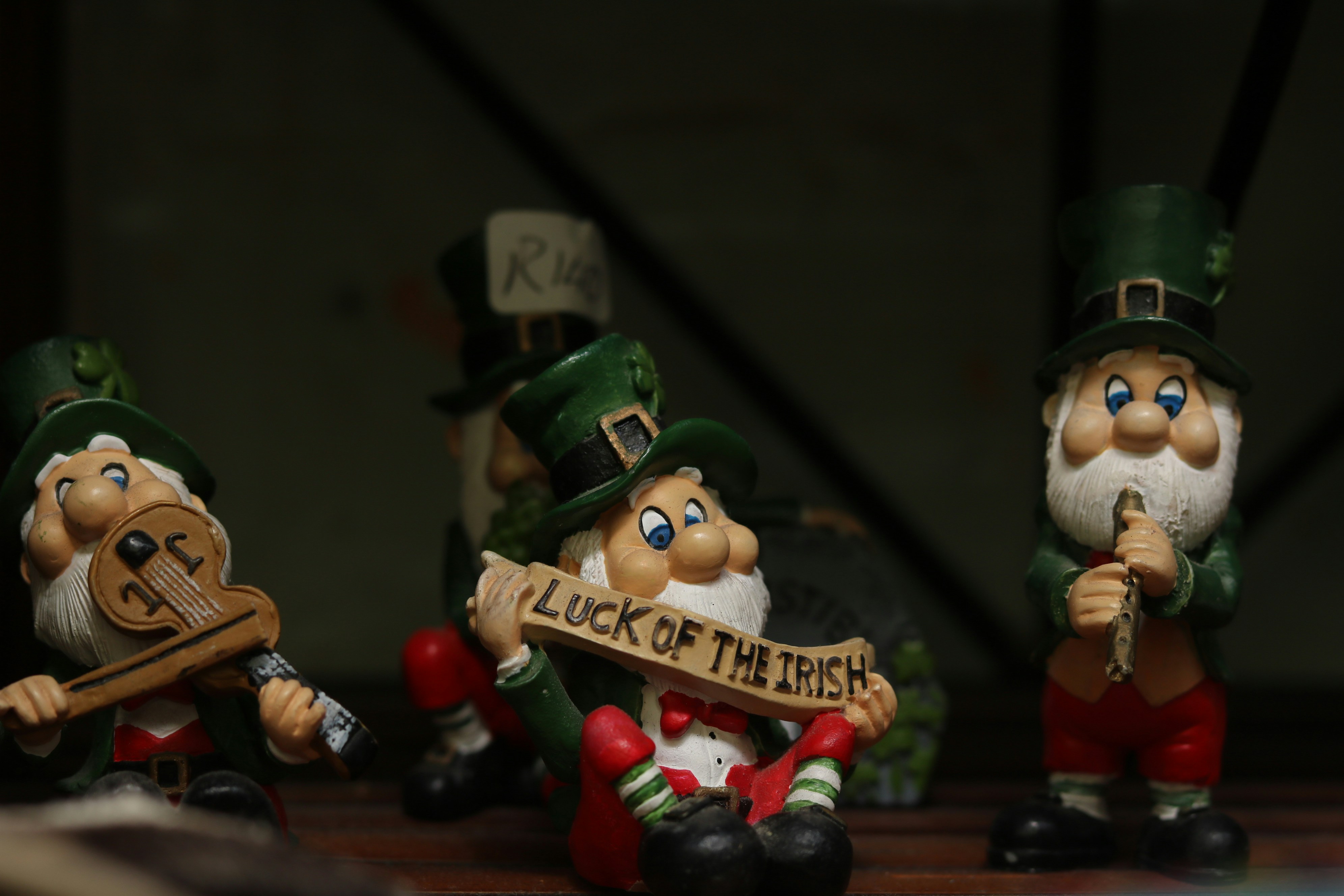 Lucky Irish Gnomes: A Row of Cheerful Figurines Holding Props