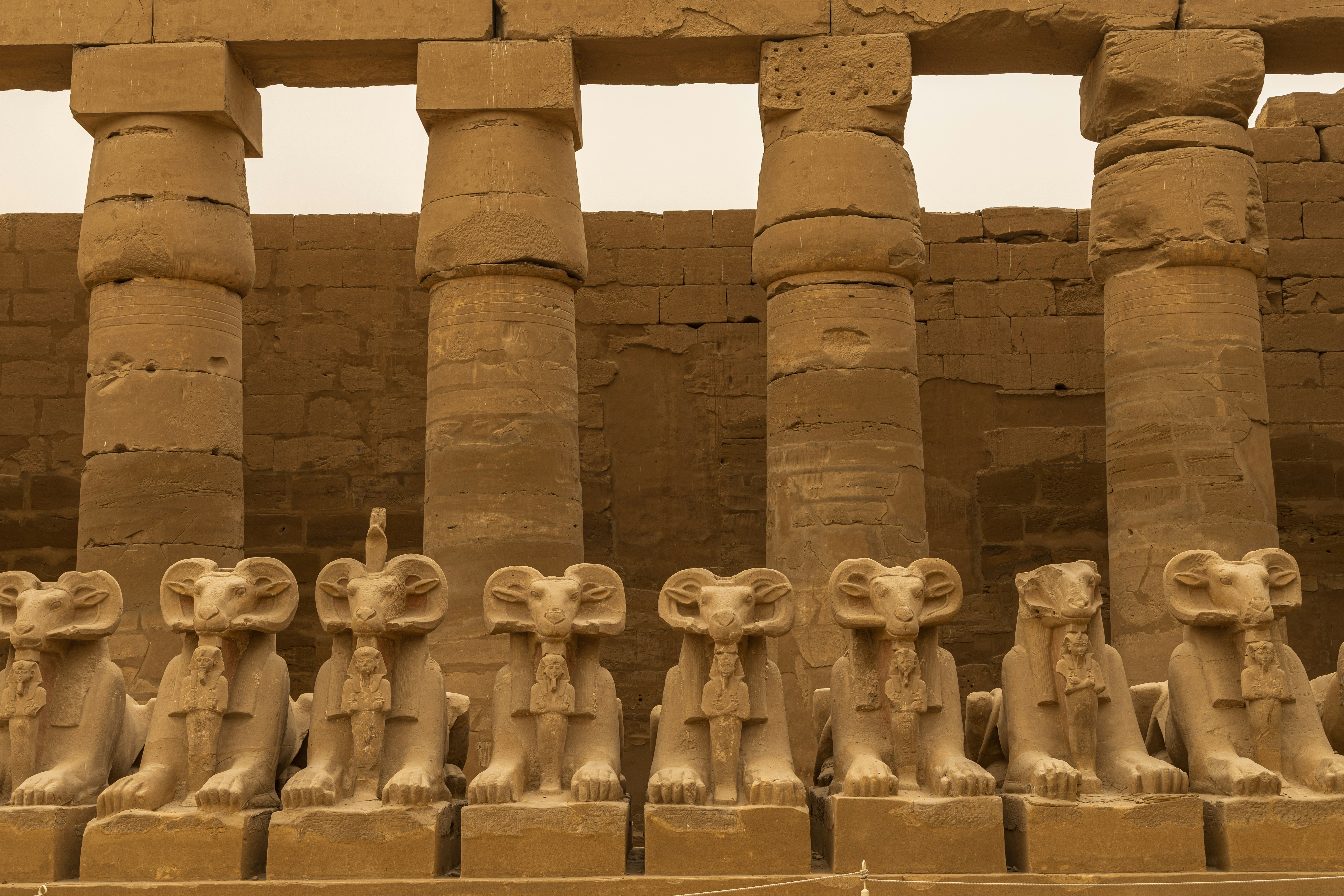 Ancient Lions Standing Guard Along a Windowed Frieze