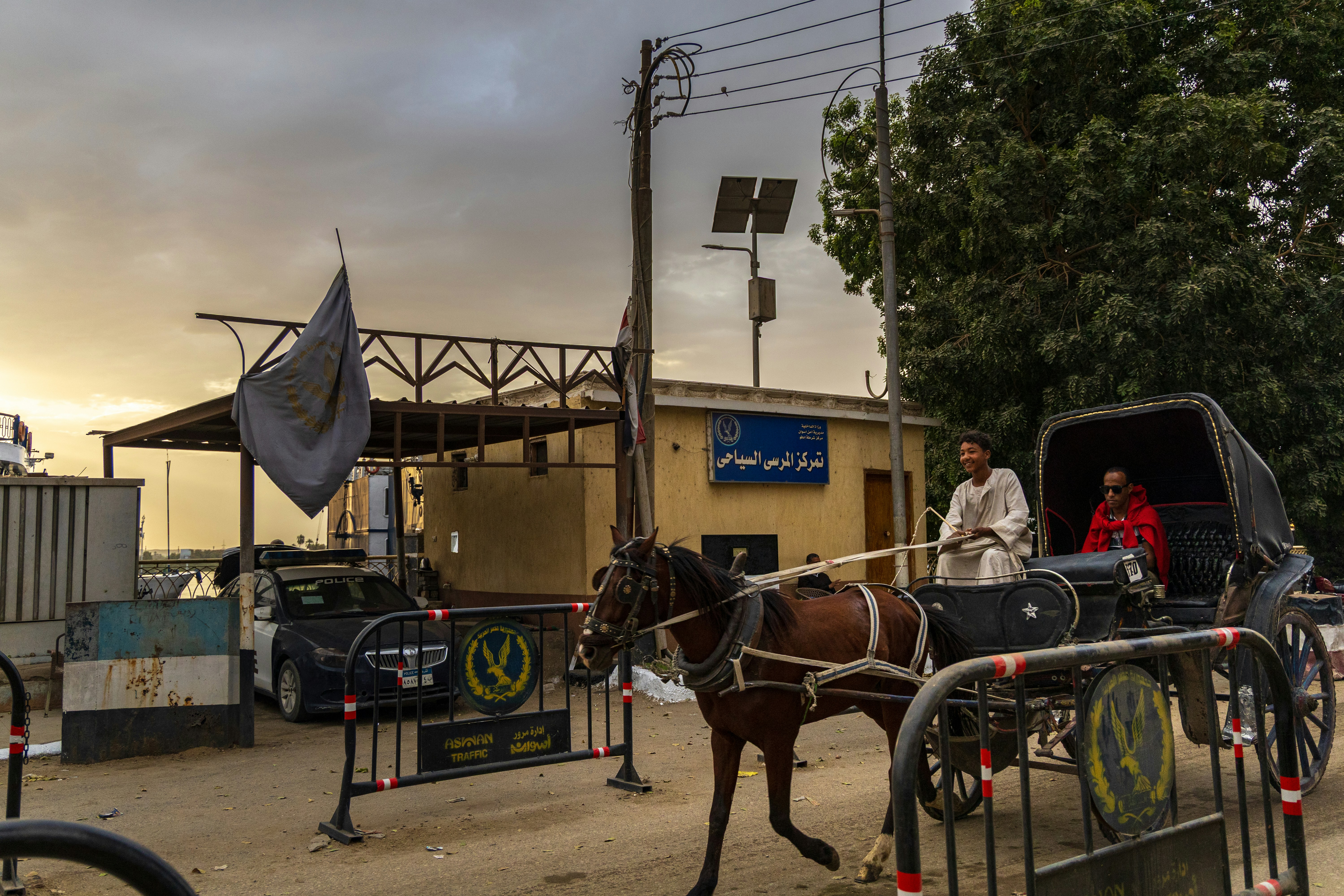 Horse-drawn carriage at a sunlit roadside gate