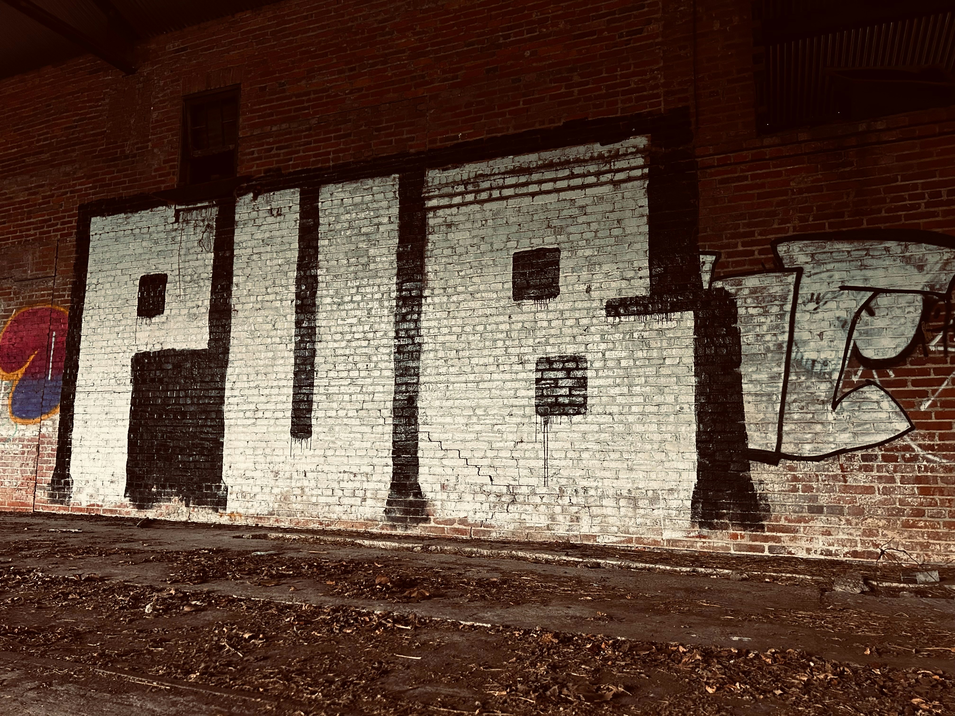 Graffiti Majesty: White Brick Letters Spanning a Night-Warmed Wall