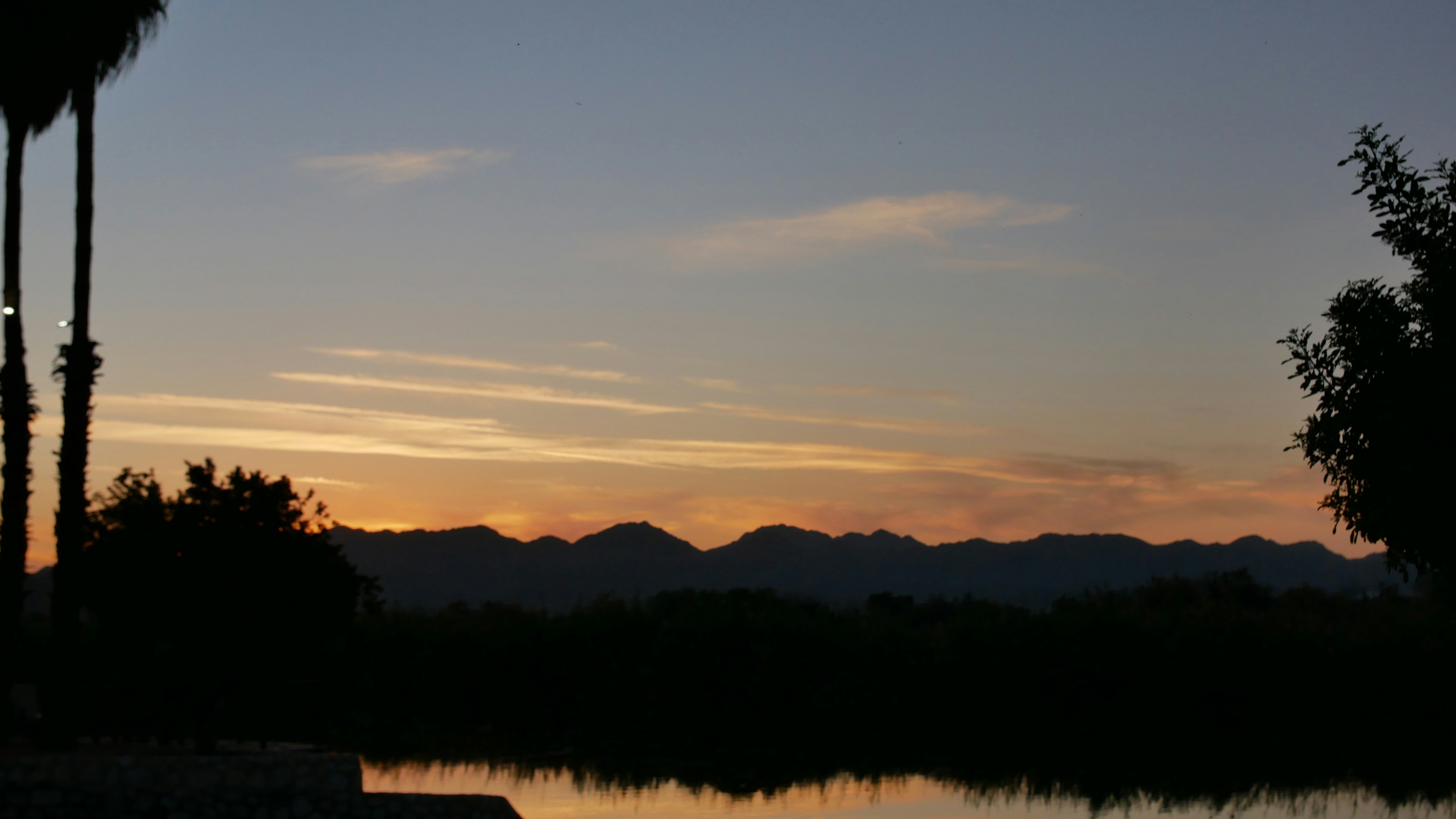 Silhouetted Palm Corridor at Sunset over Quiet Reservoir
