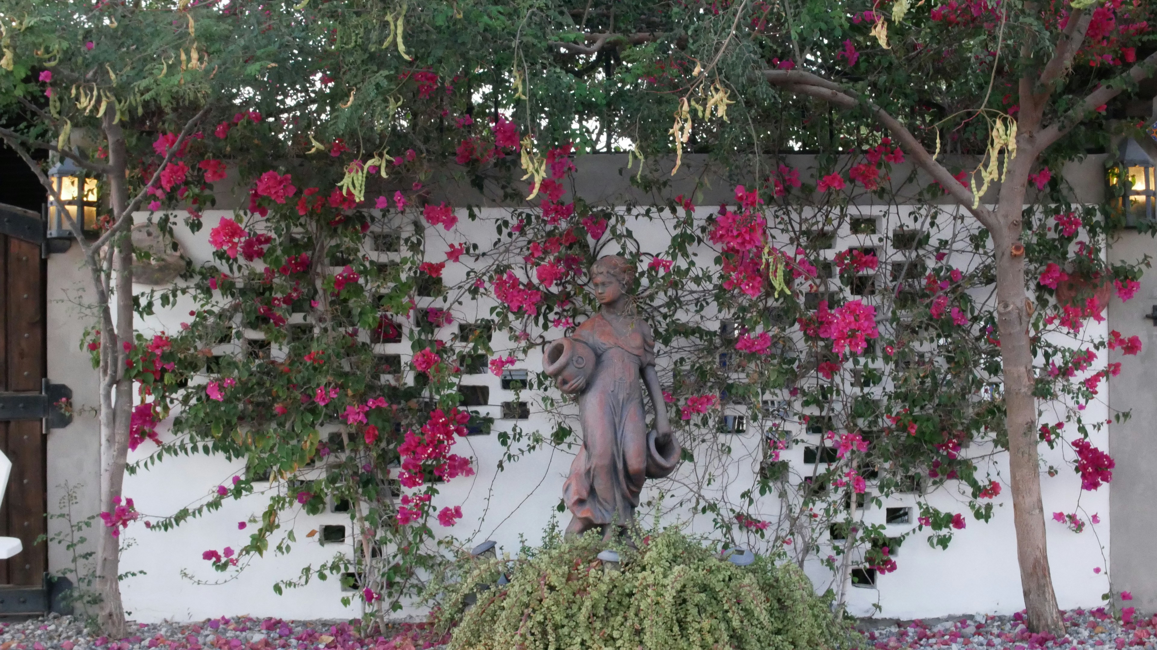 Statue framed by Bougainvillea in a sunlit courtyard