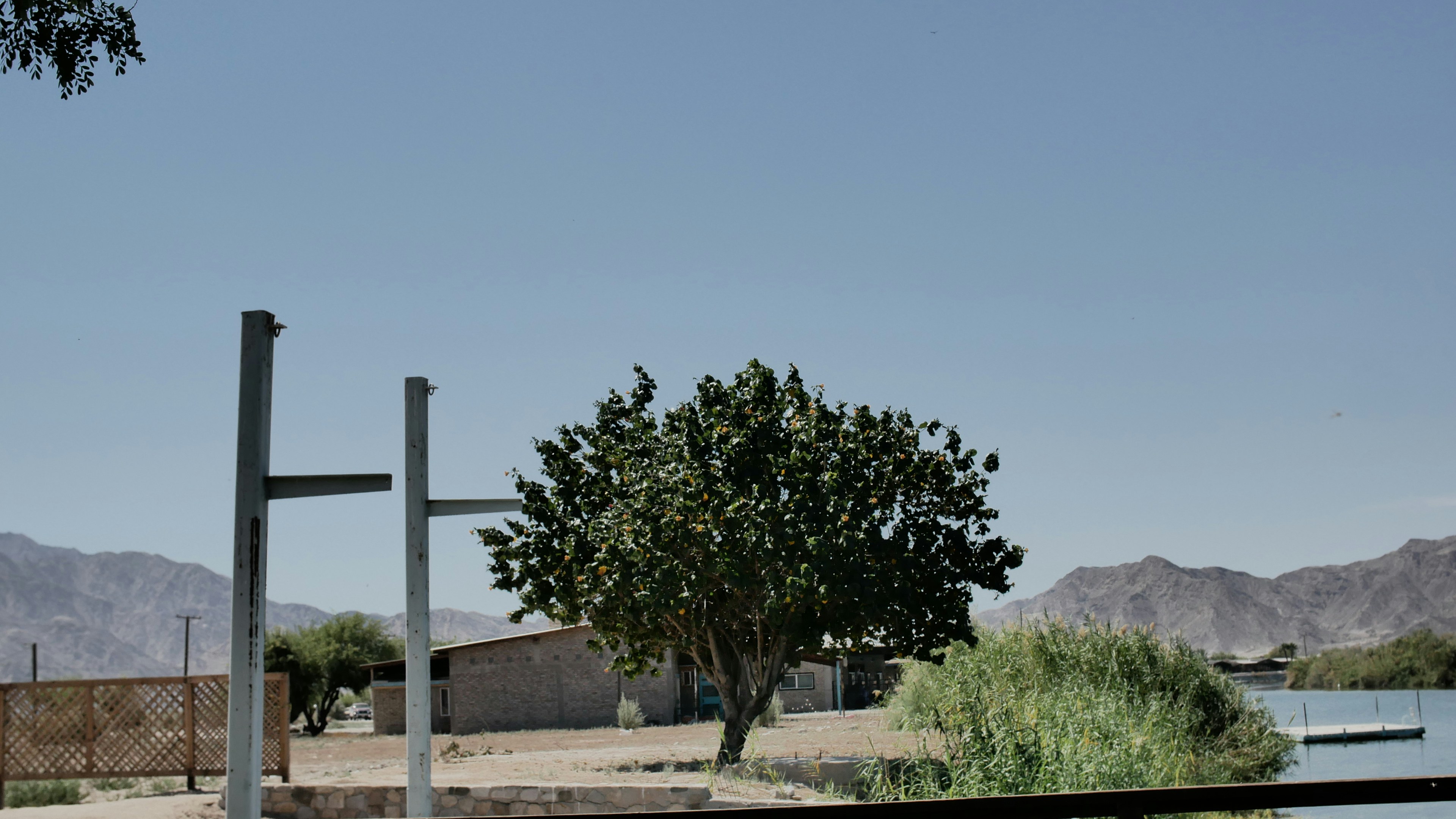 Desert Courtyard with Central Tree under a Clear Sky