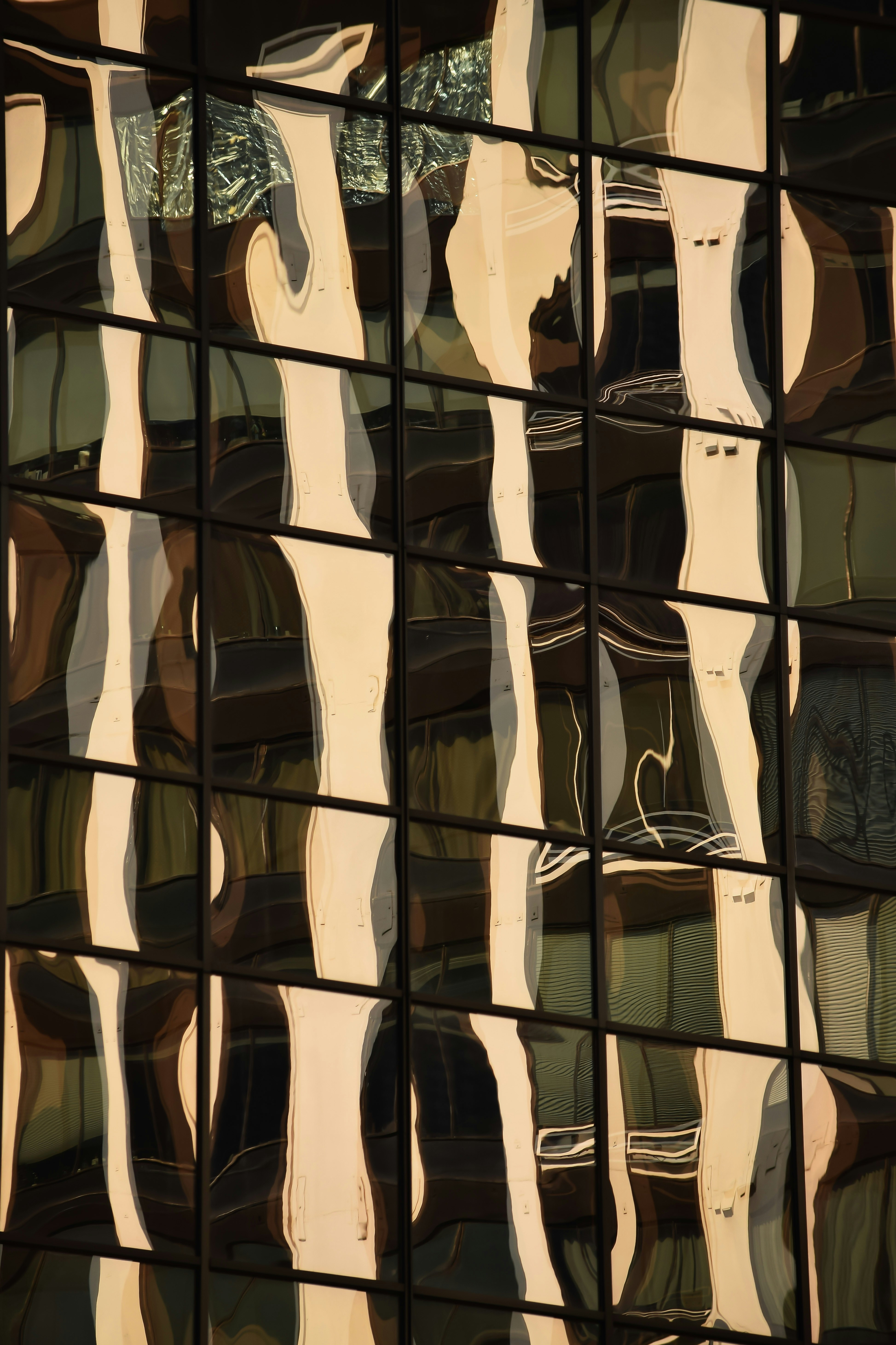 Reflections in a Glass Maze: Elastic Stripes Across a Facade