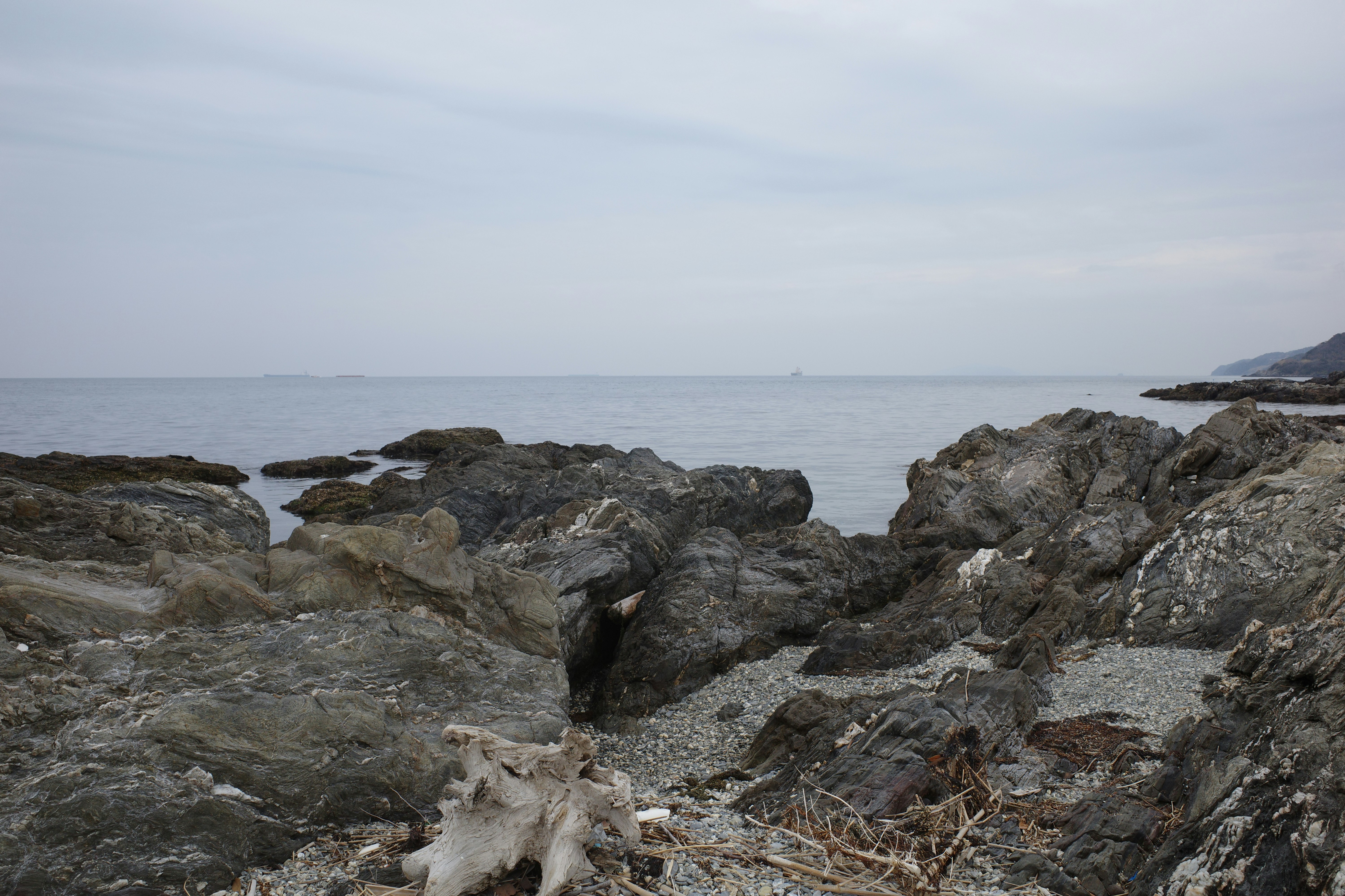 Quiet Boundary: Rugged Shoreline Meeting a Calm Horizon