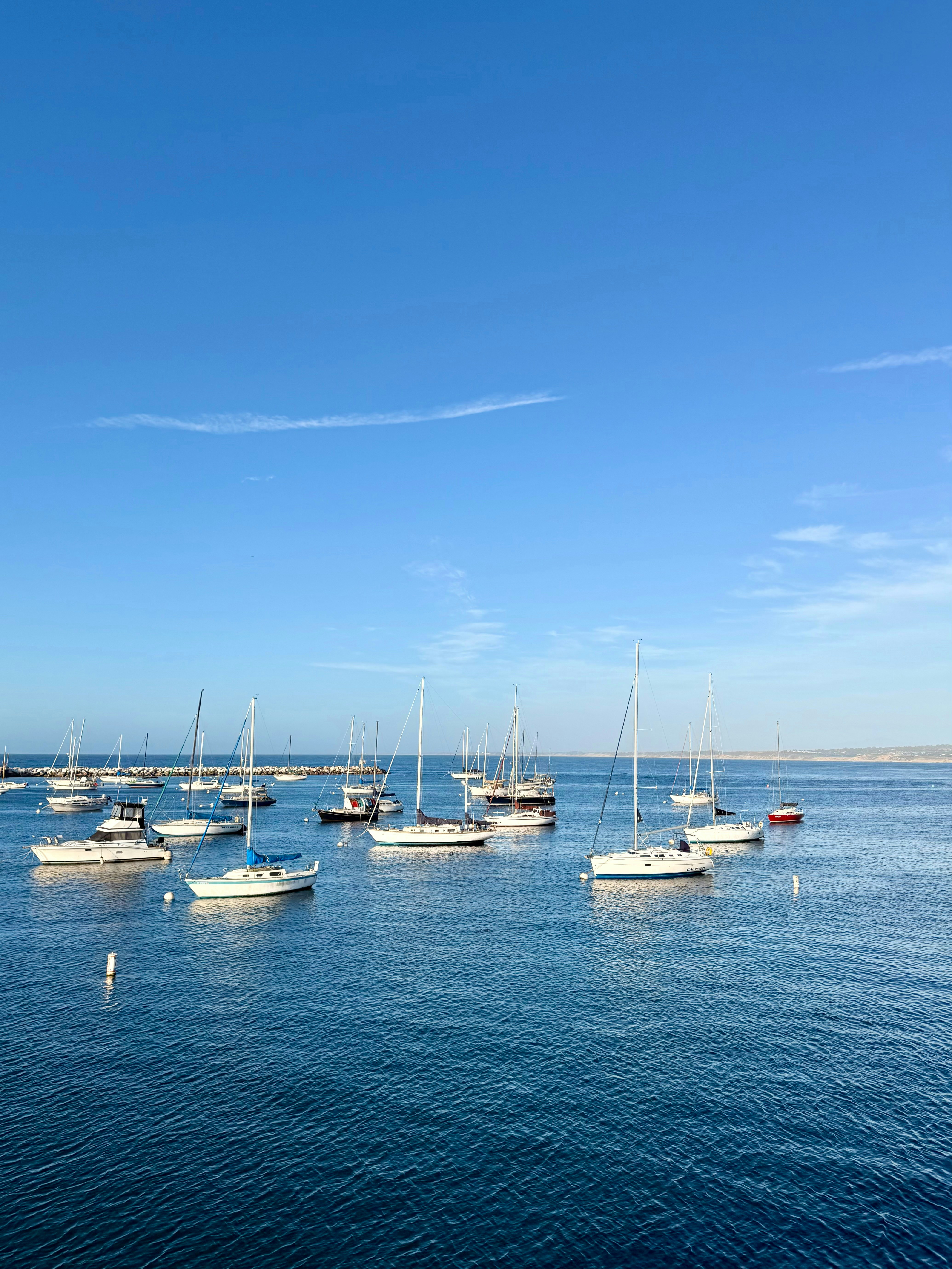 Calm Marina: Fleet of Sails Quietly Rest at Dusk