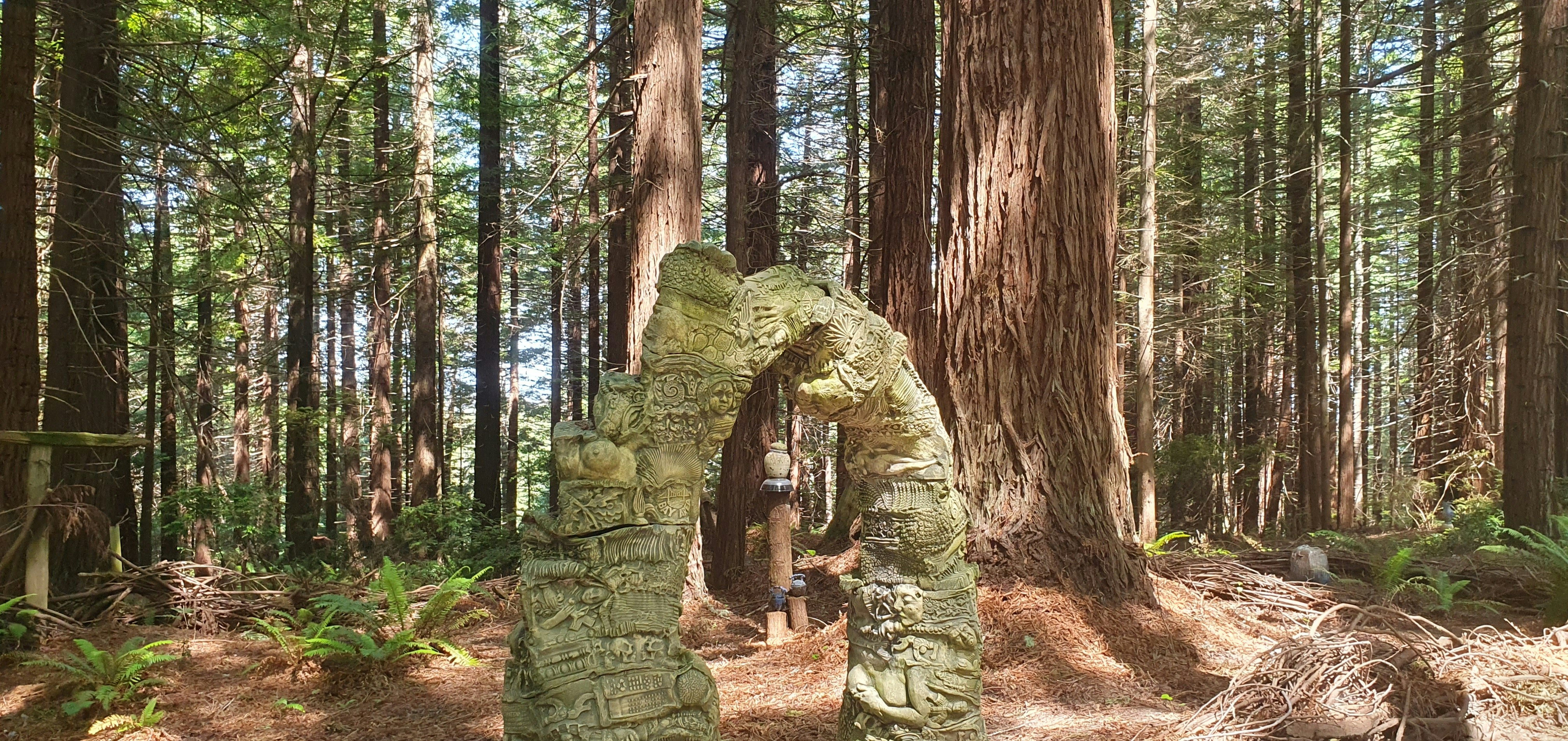 Stone Archway in a Sunlit Redwood Clearing