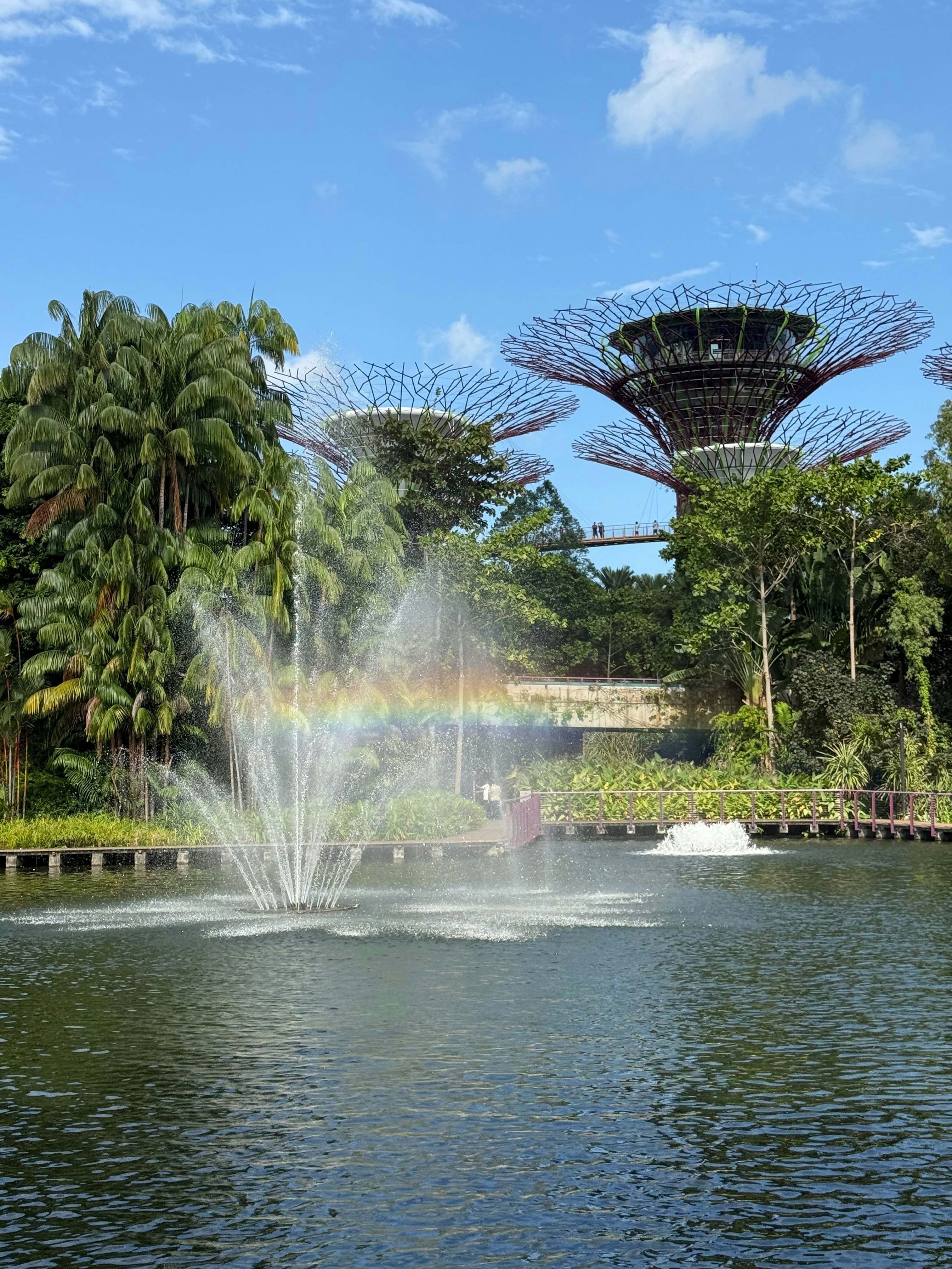 Rainbow Arch Above the Lagoon Fountain