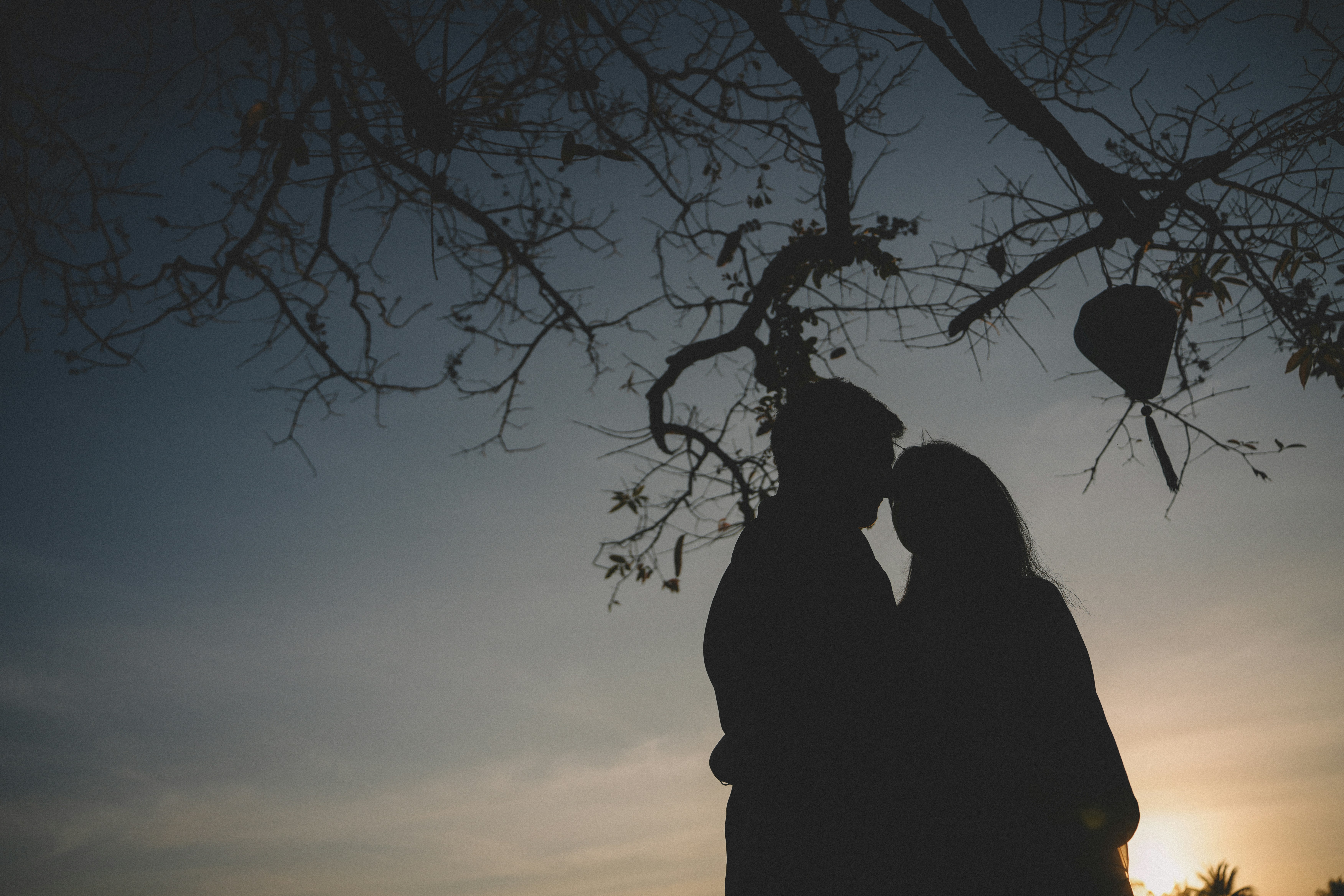 Silhouette at Sunset: A Quiet Embrace Under Bare Branches