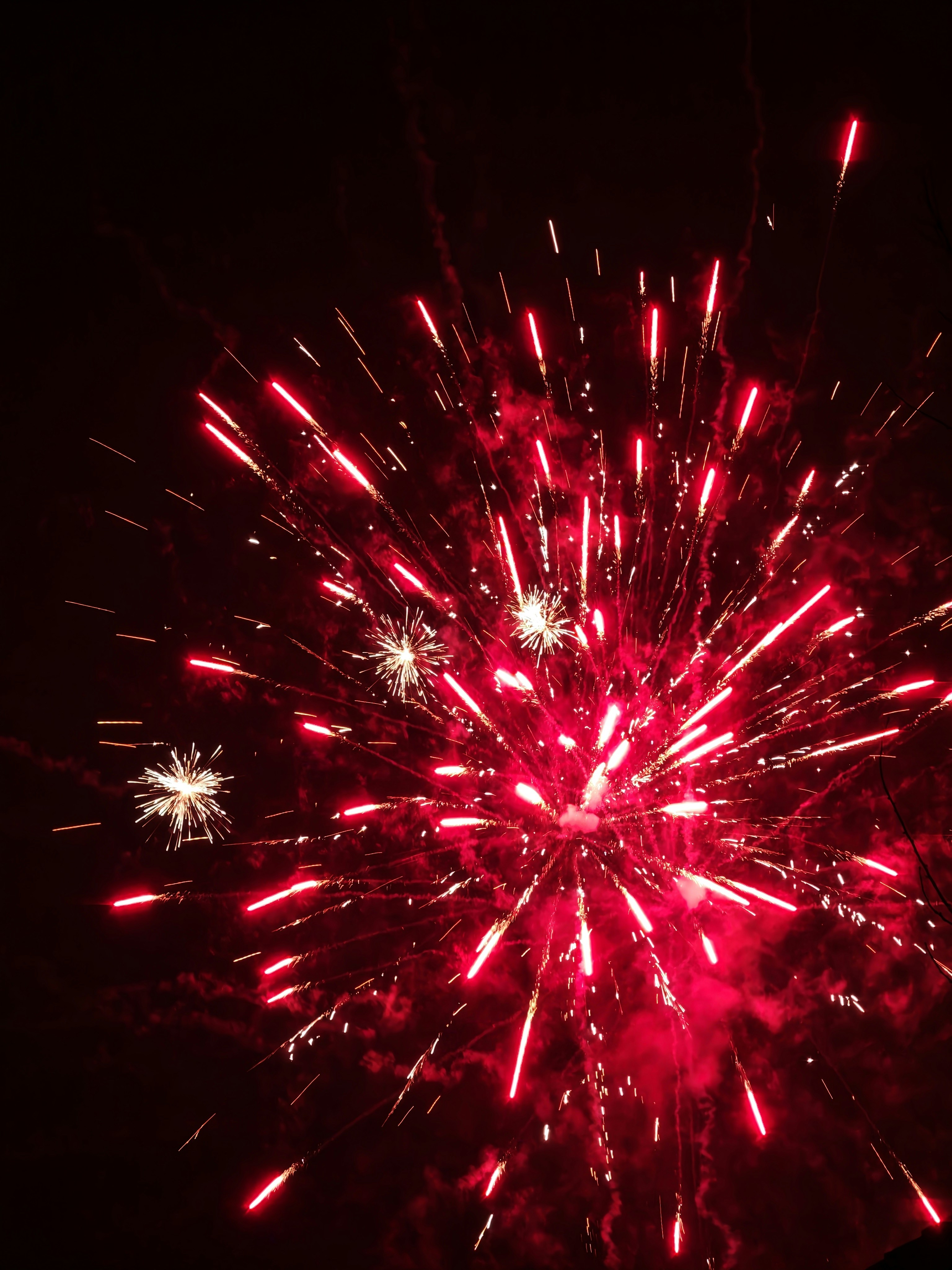 Red Burst: Fireworks Crown the Night Sky
