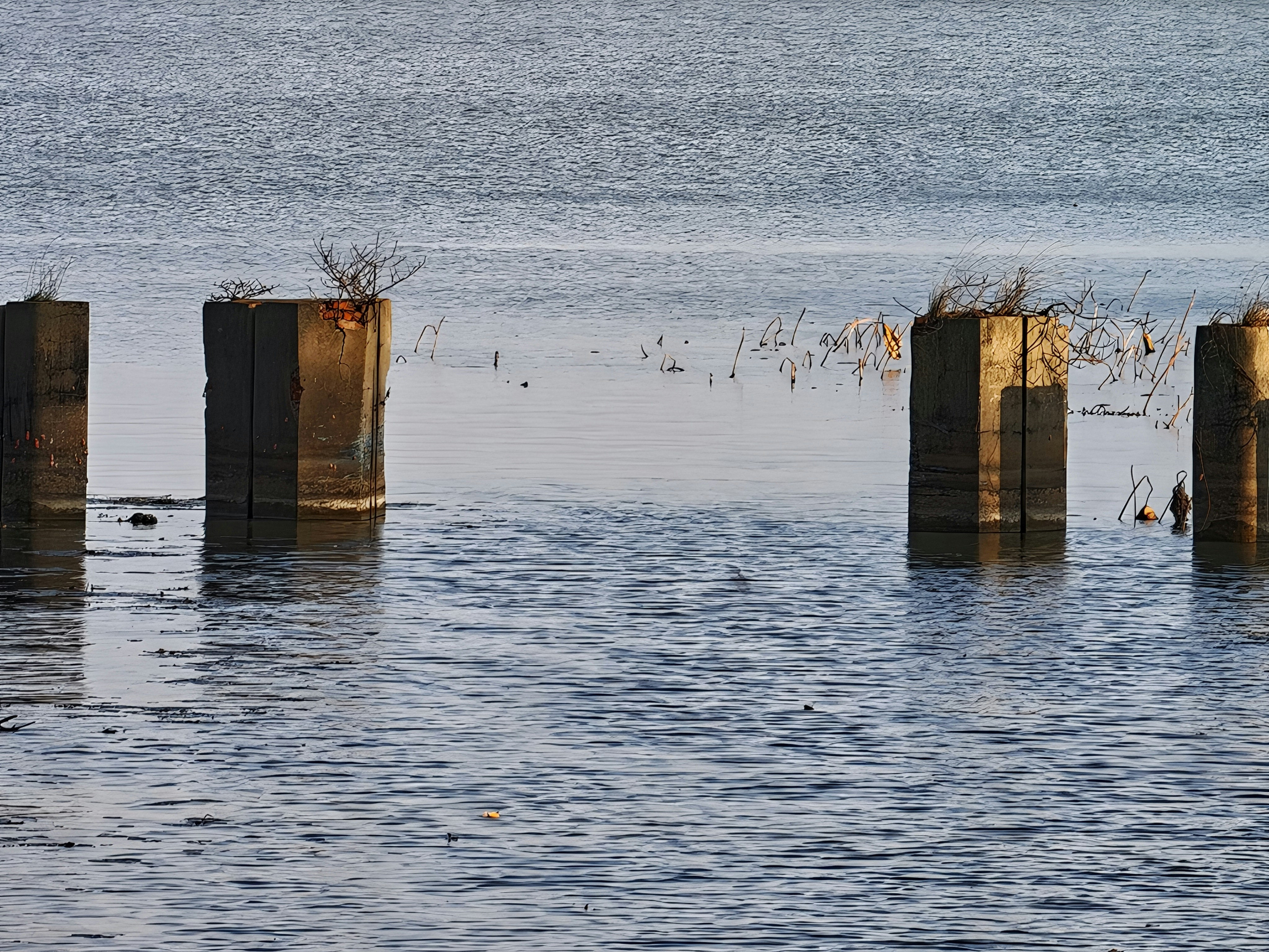 Silent Columns Rising from Quiet Tide