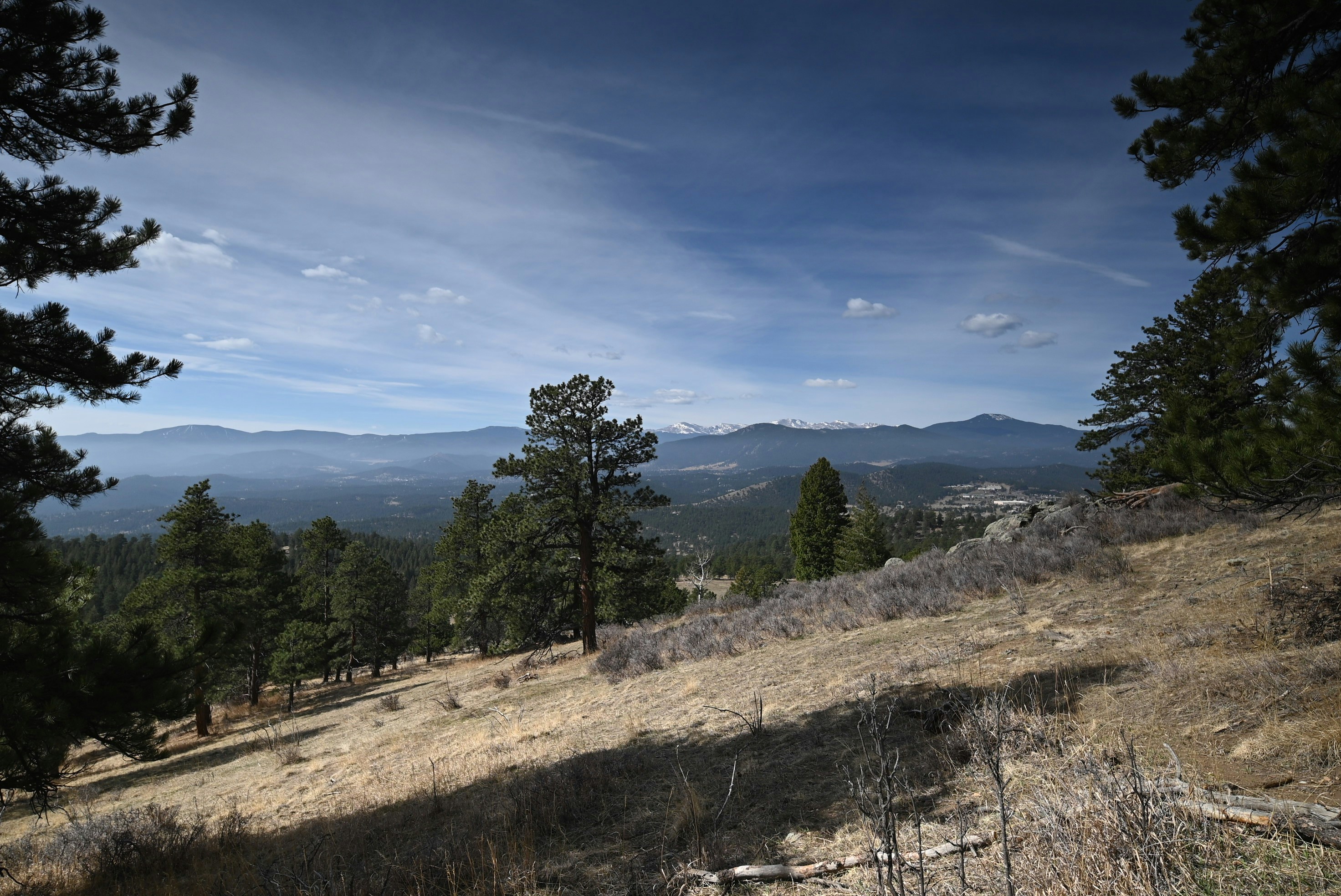 Wide Basin Vista: Pines, Slope, and Distant Peaks