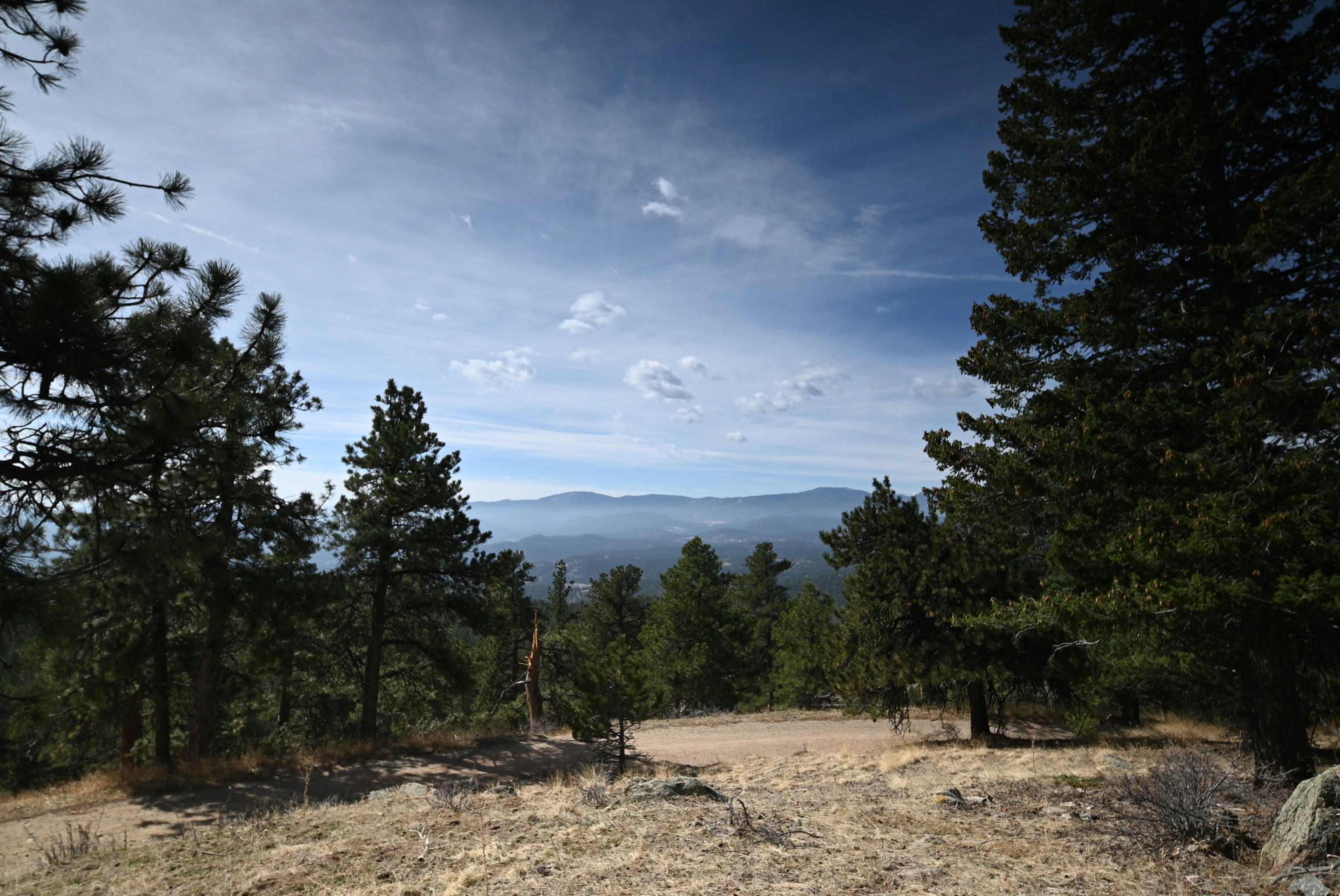 Horizon Ridge: Pines Framing a Summit View