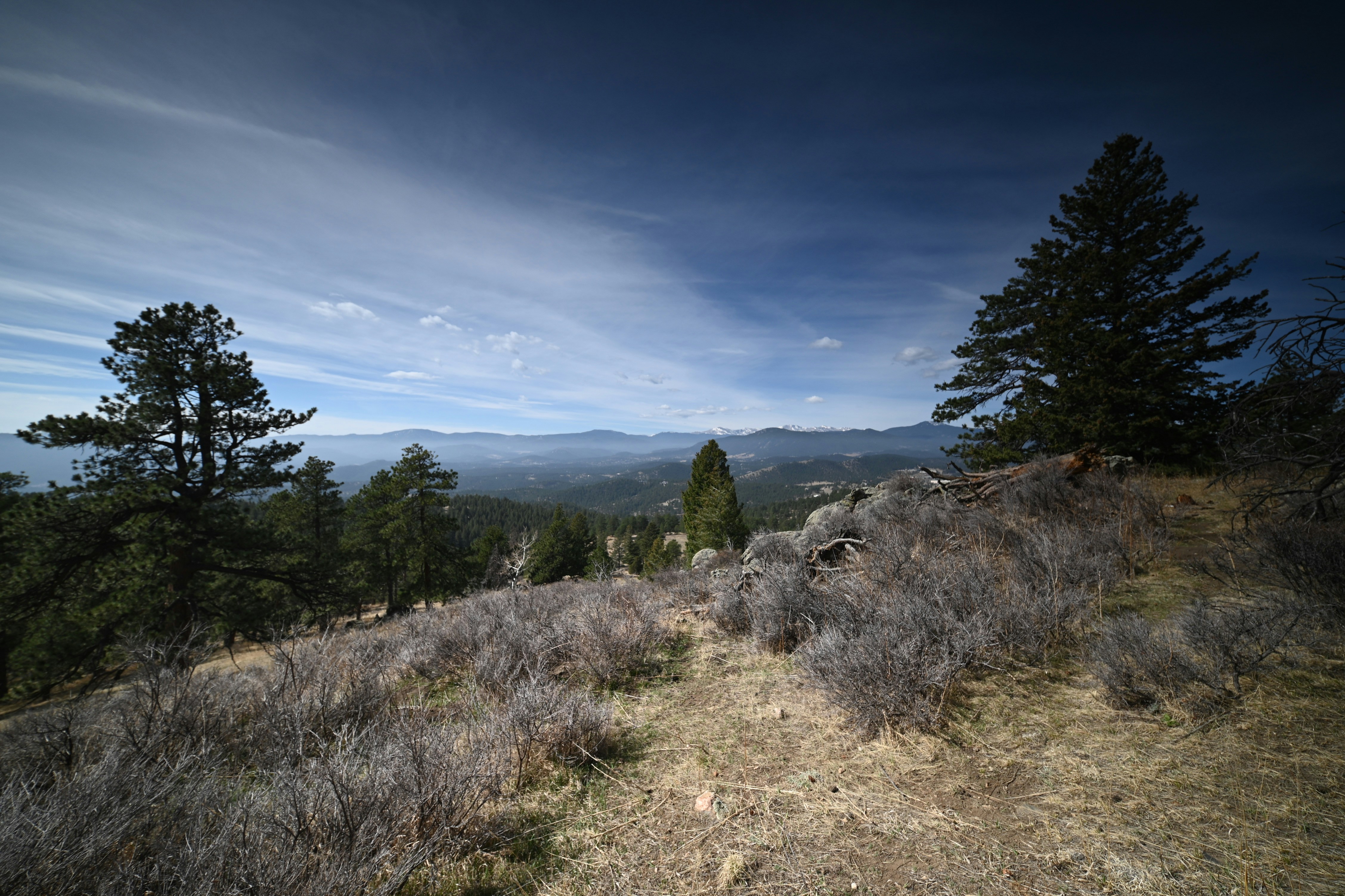Trail to the canyon ridge: sunlit scrub and distant pines
