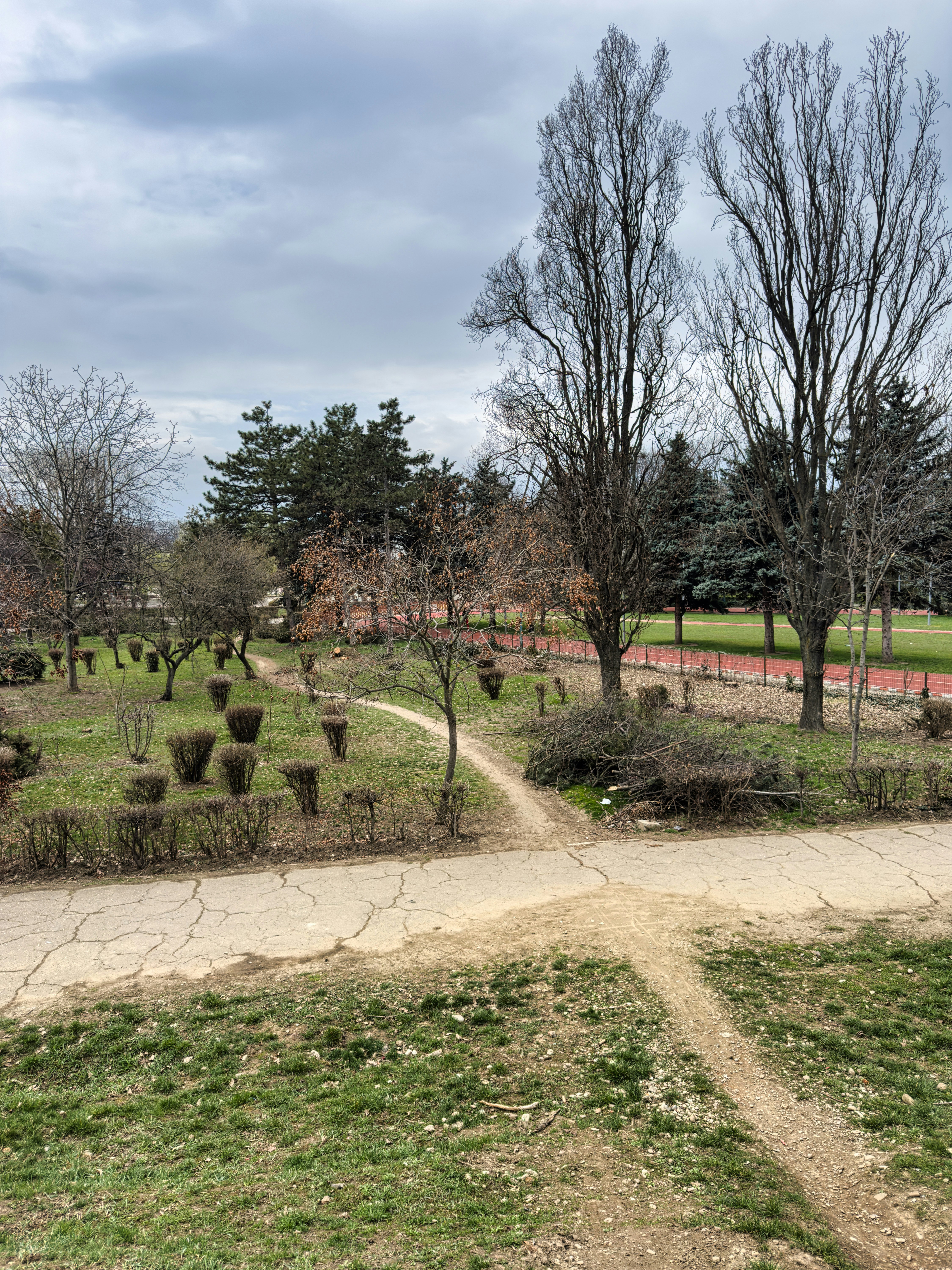 Pathway Through a Winter-Ready Park