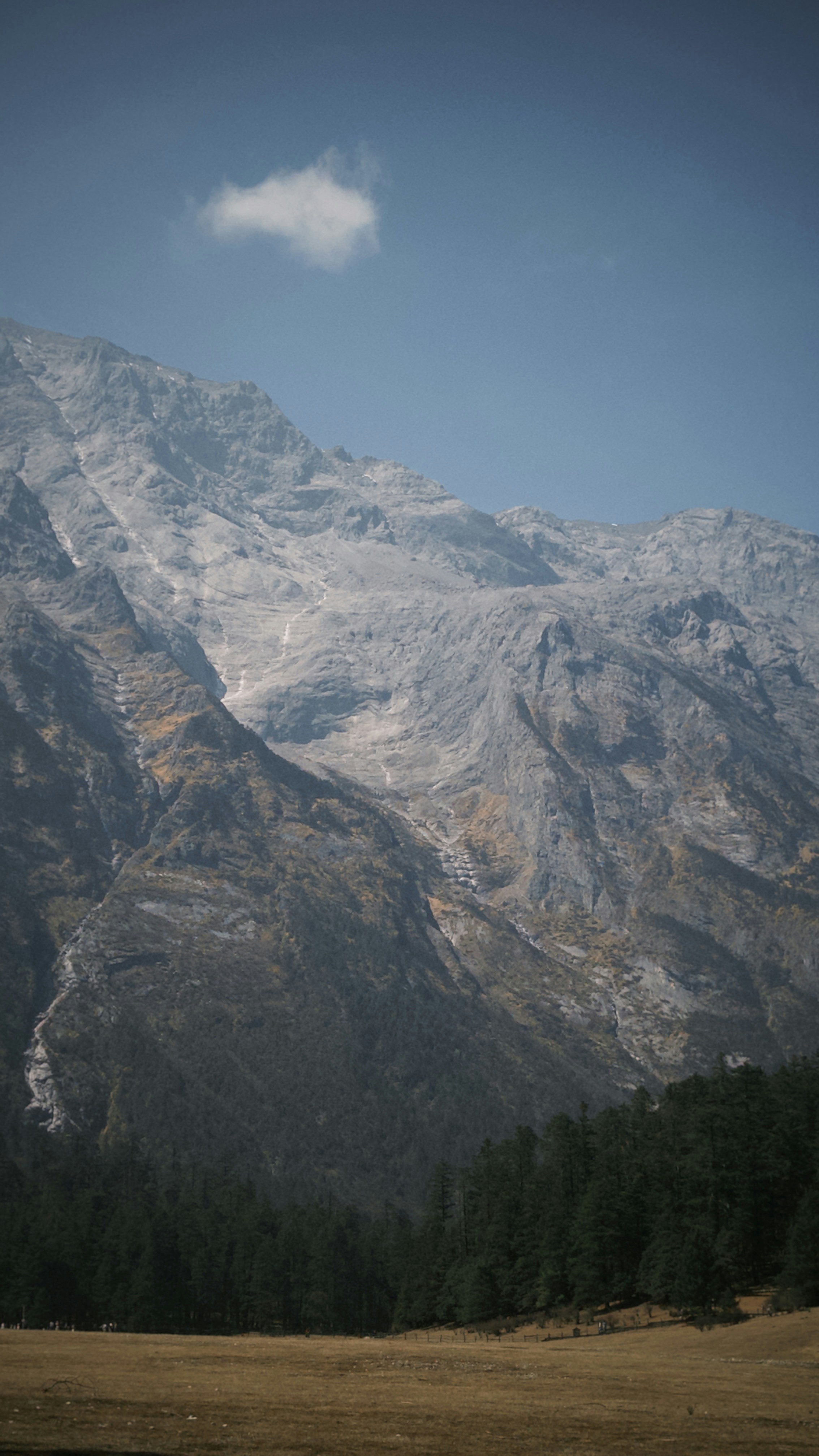 Towering Granite: Valley Floor Meets Sky