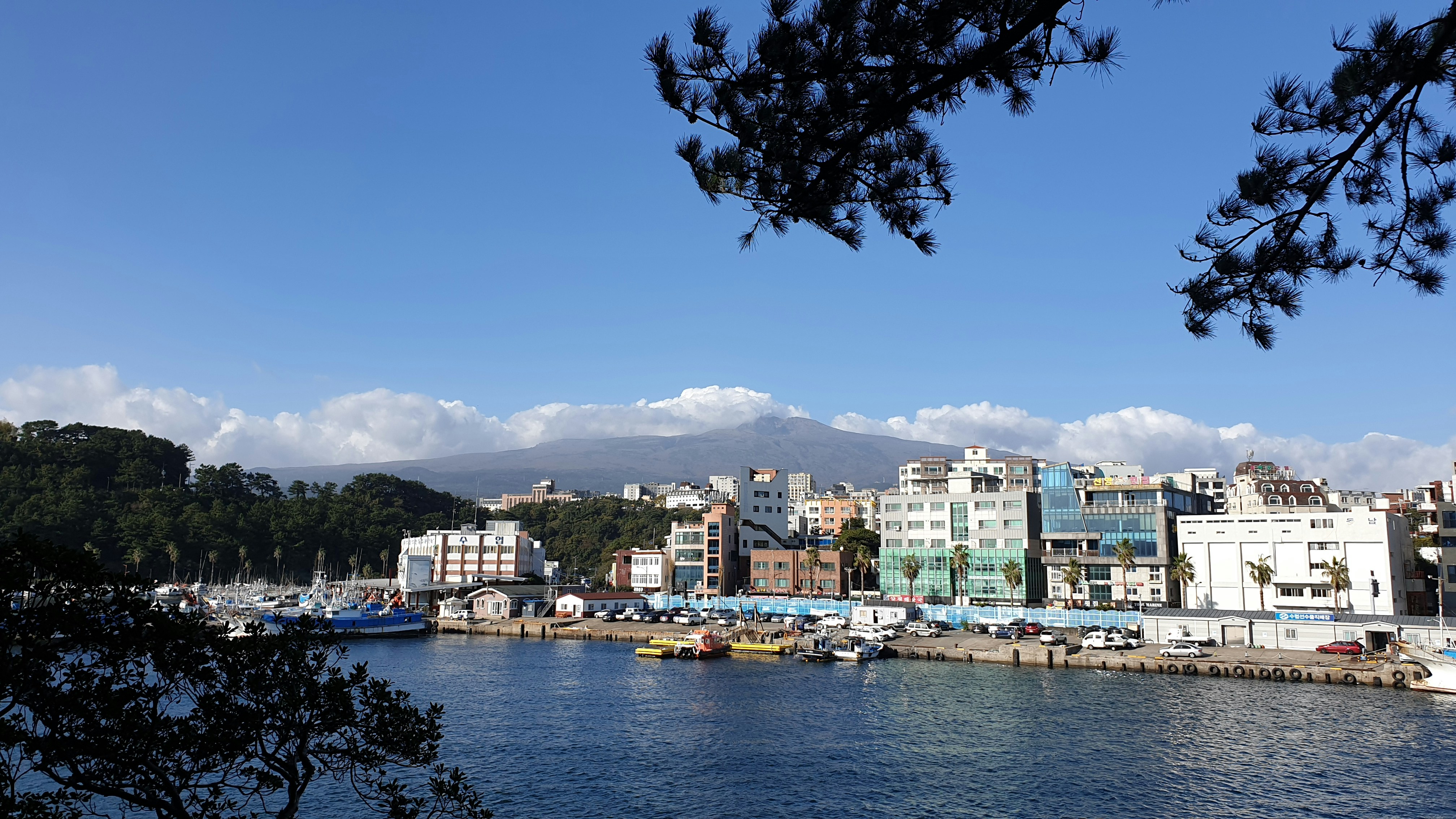 Harbor Palette: Boats, Buildings, and Blue Sky