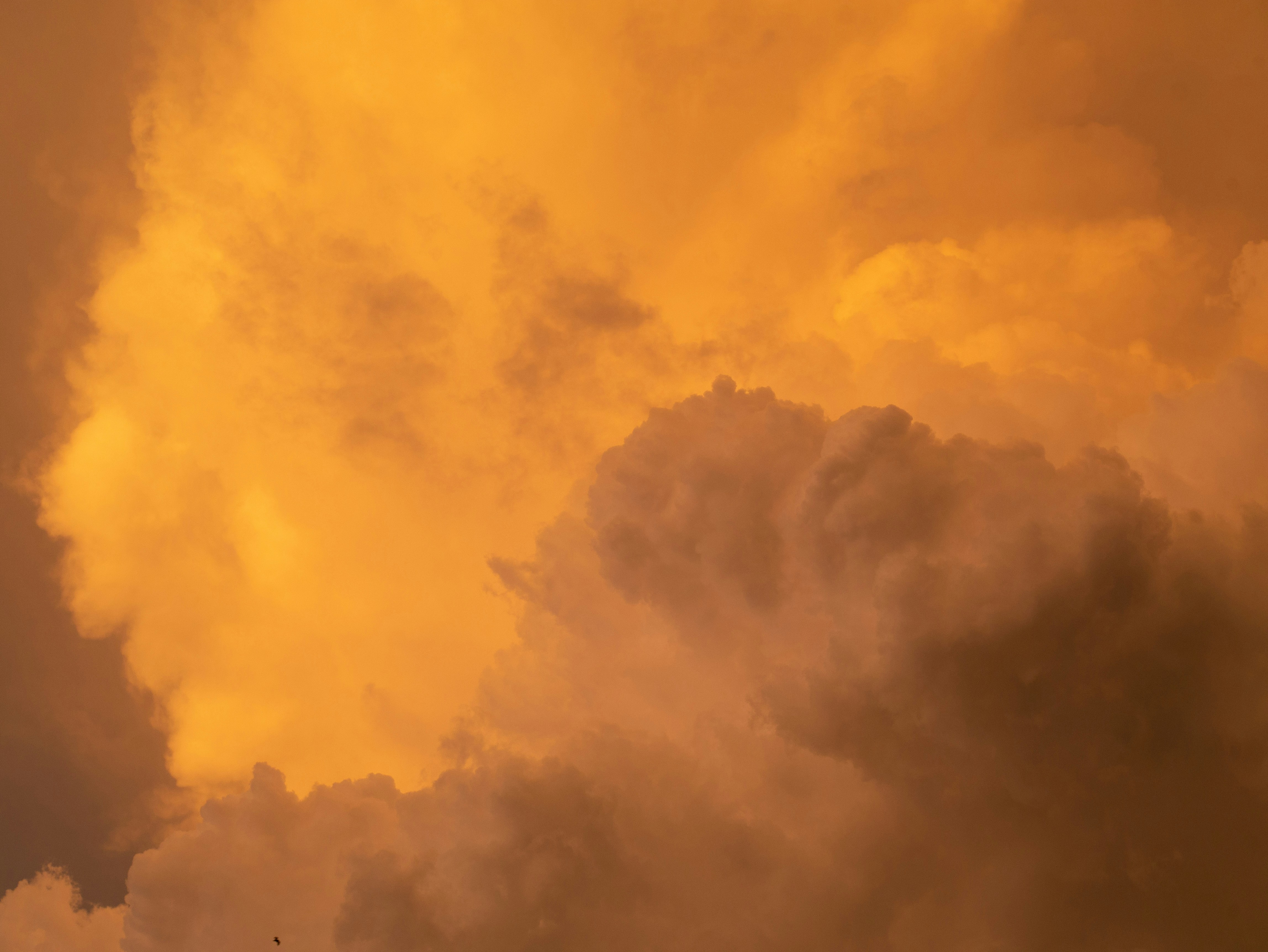 Orange Nebula Overcast: A Skyward Burst of Smoke and Light