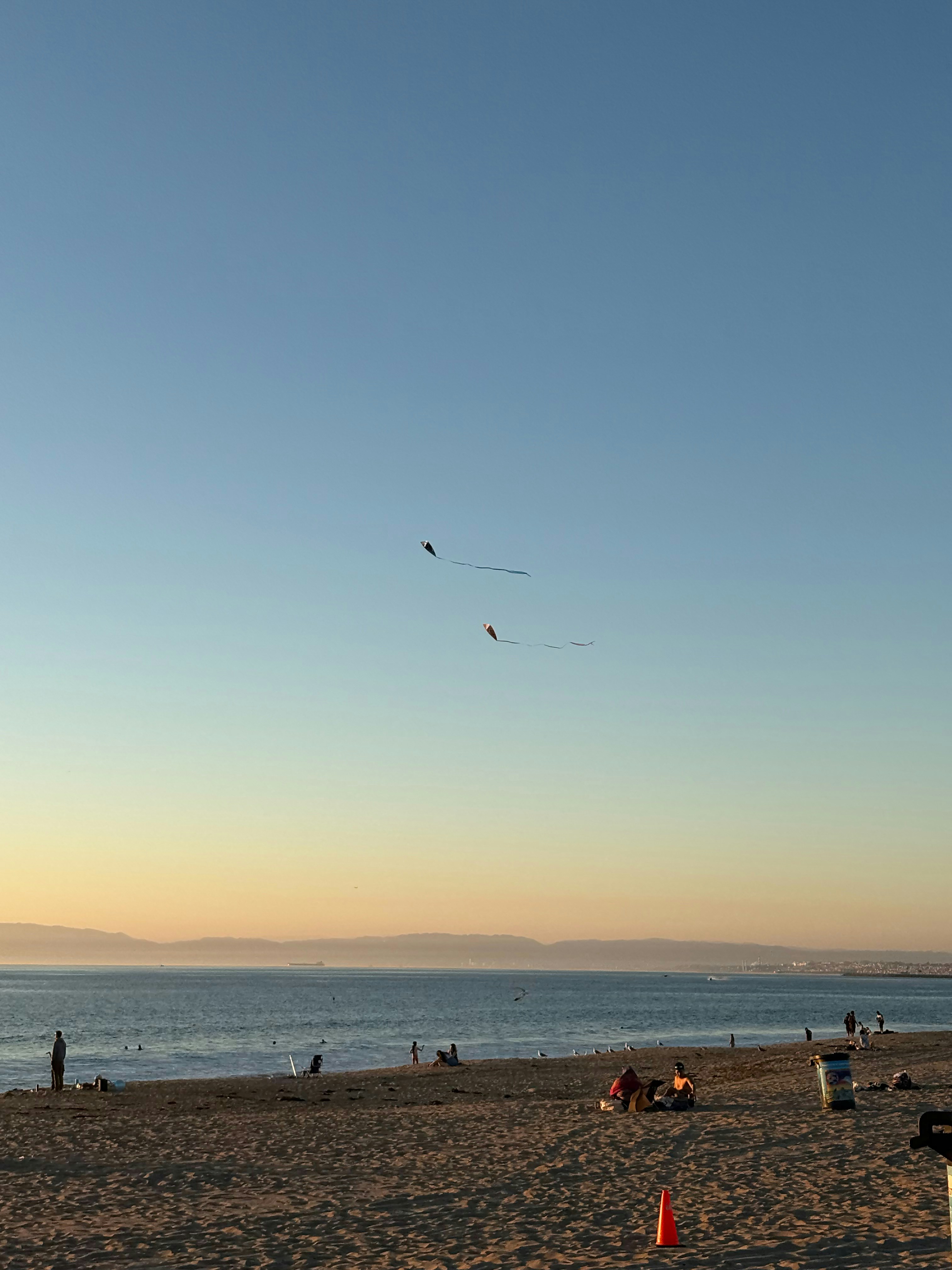 Gulls over the quiet shoreline at sunset