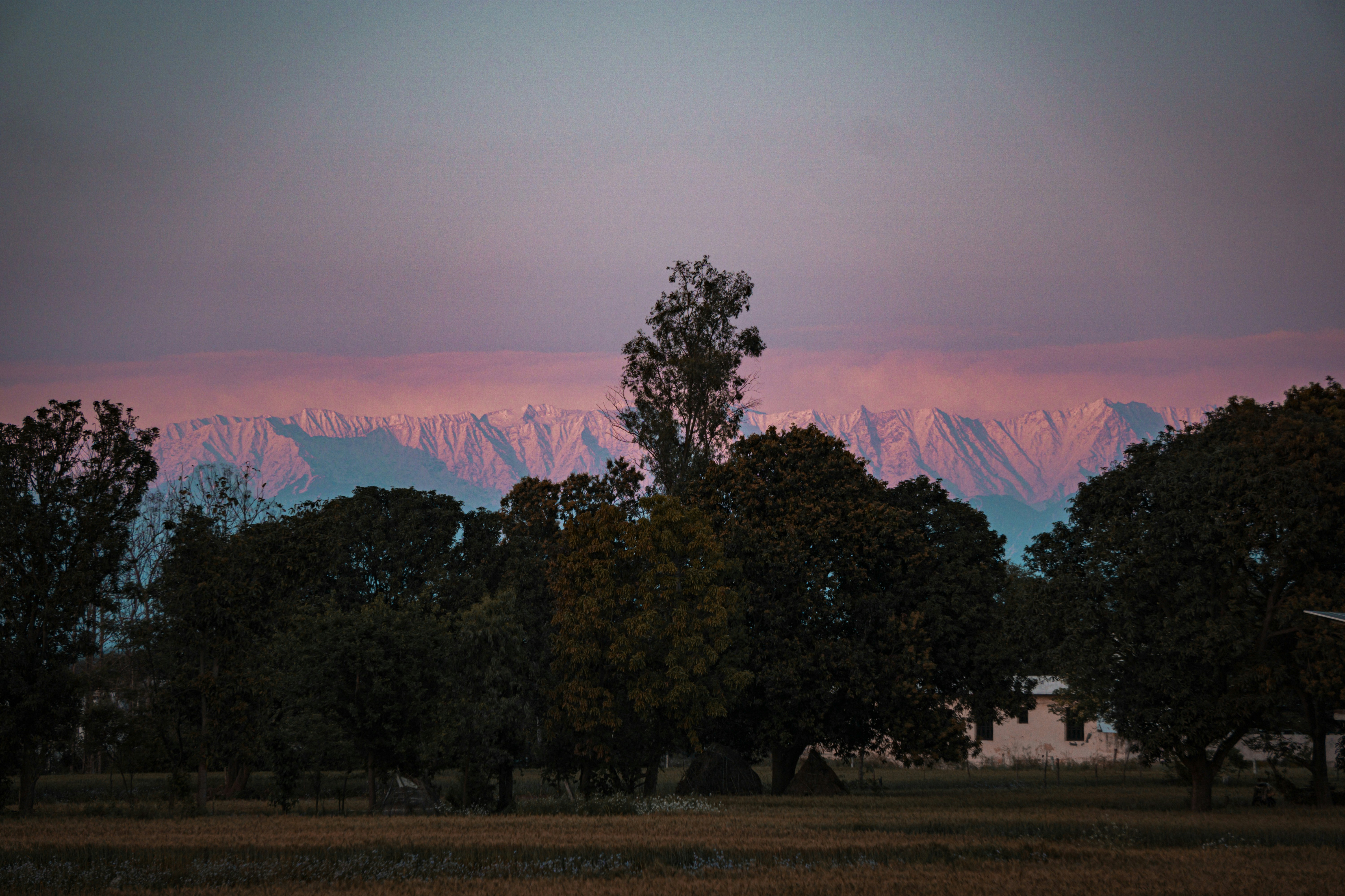 Twilight Ridge: Snow-Capped Arrival Beyond the Pines