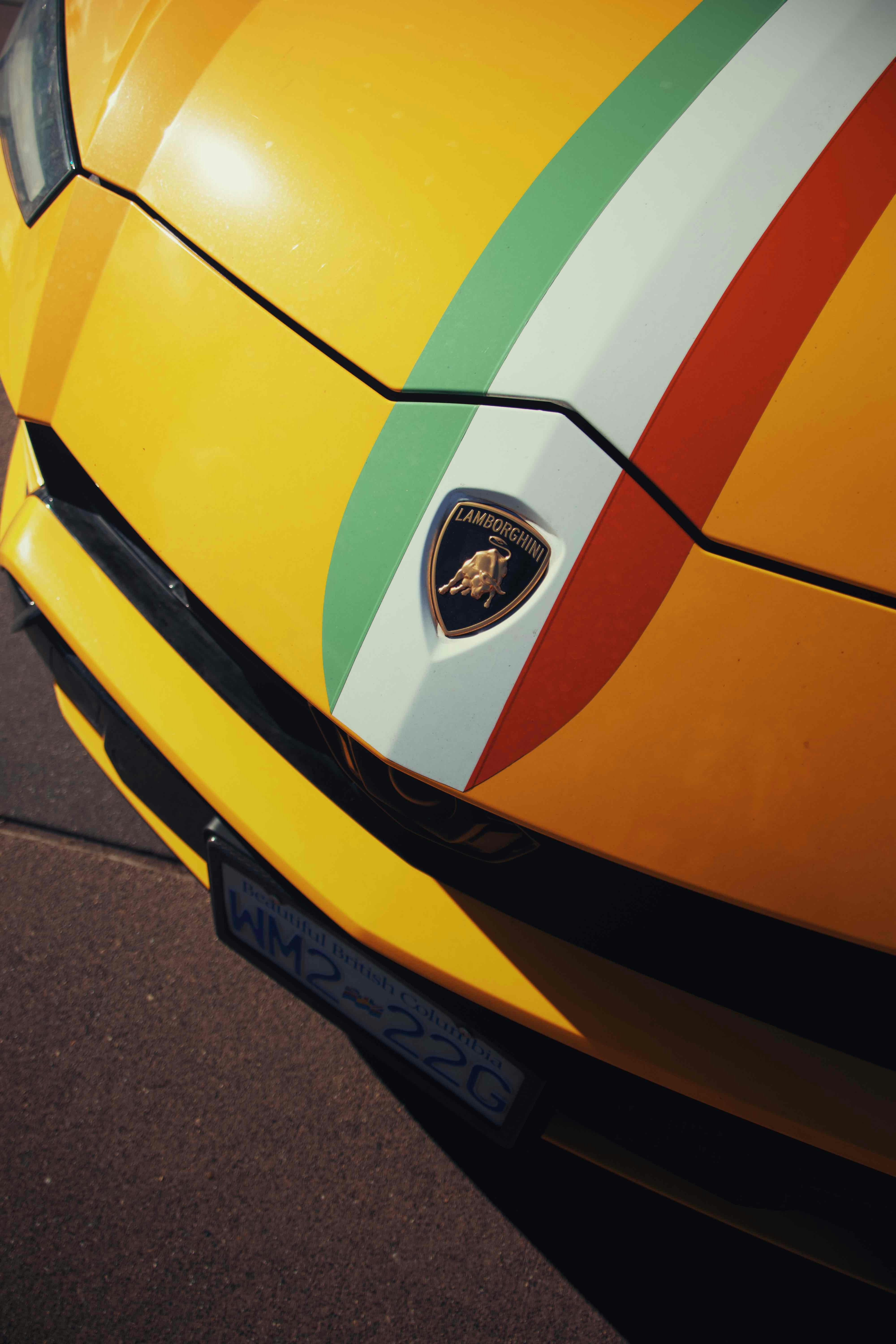 Sunlit Zest: A Striped Lamborghini Crest on vibrant yellow