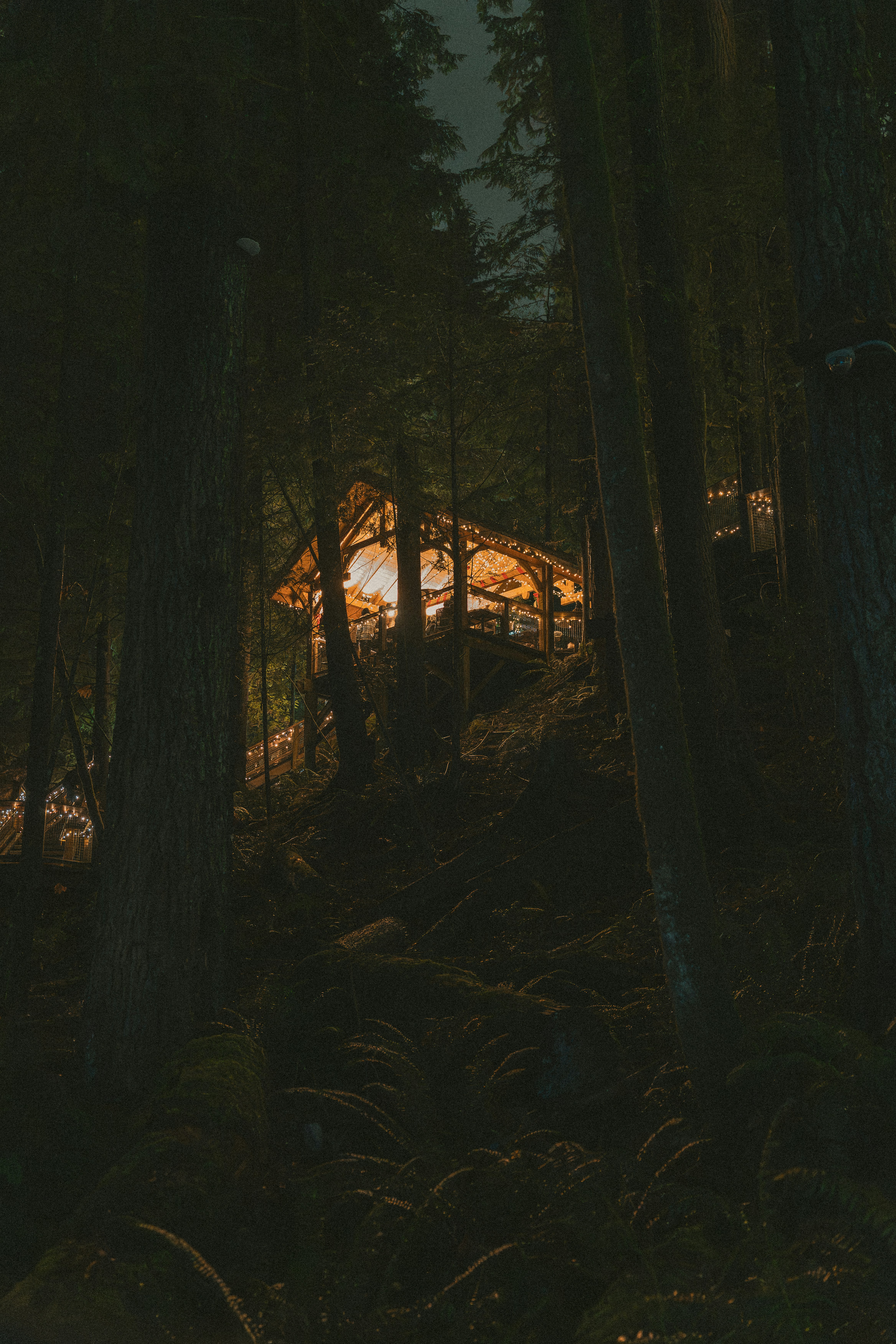 Lantern-lit Clearing: A Woodland Chalet Emerges Between Pines