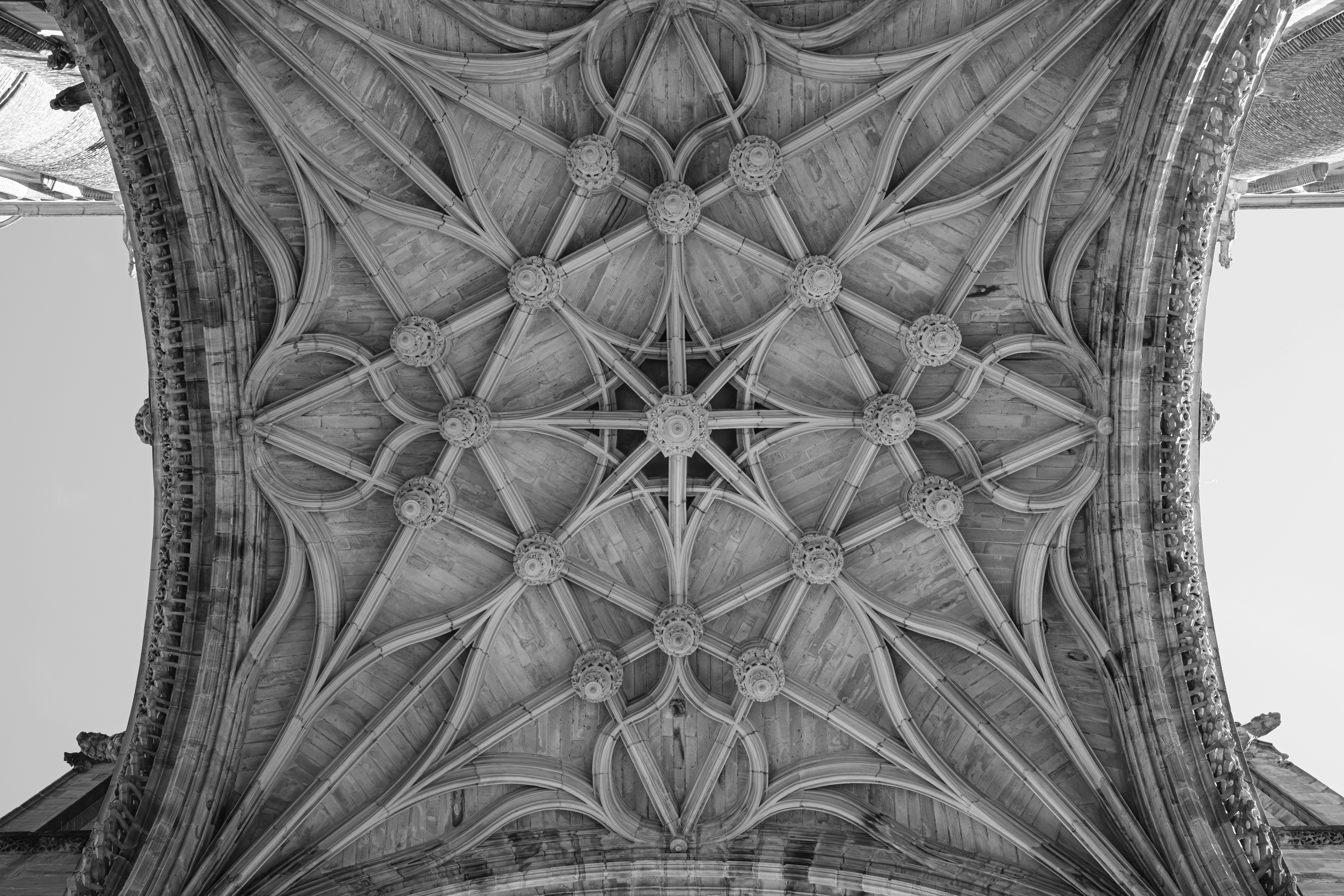 Ribbed Vaults: A Symmetrical Network of Stone Petals in Monochrome