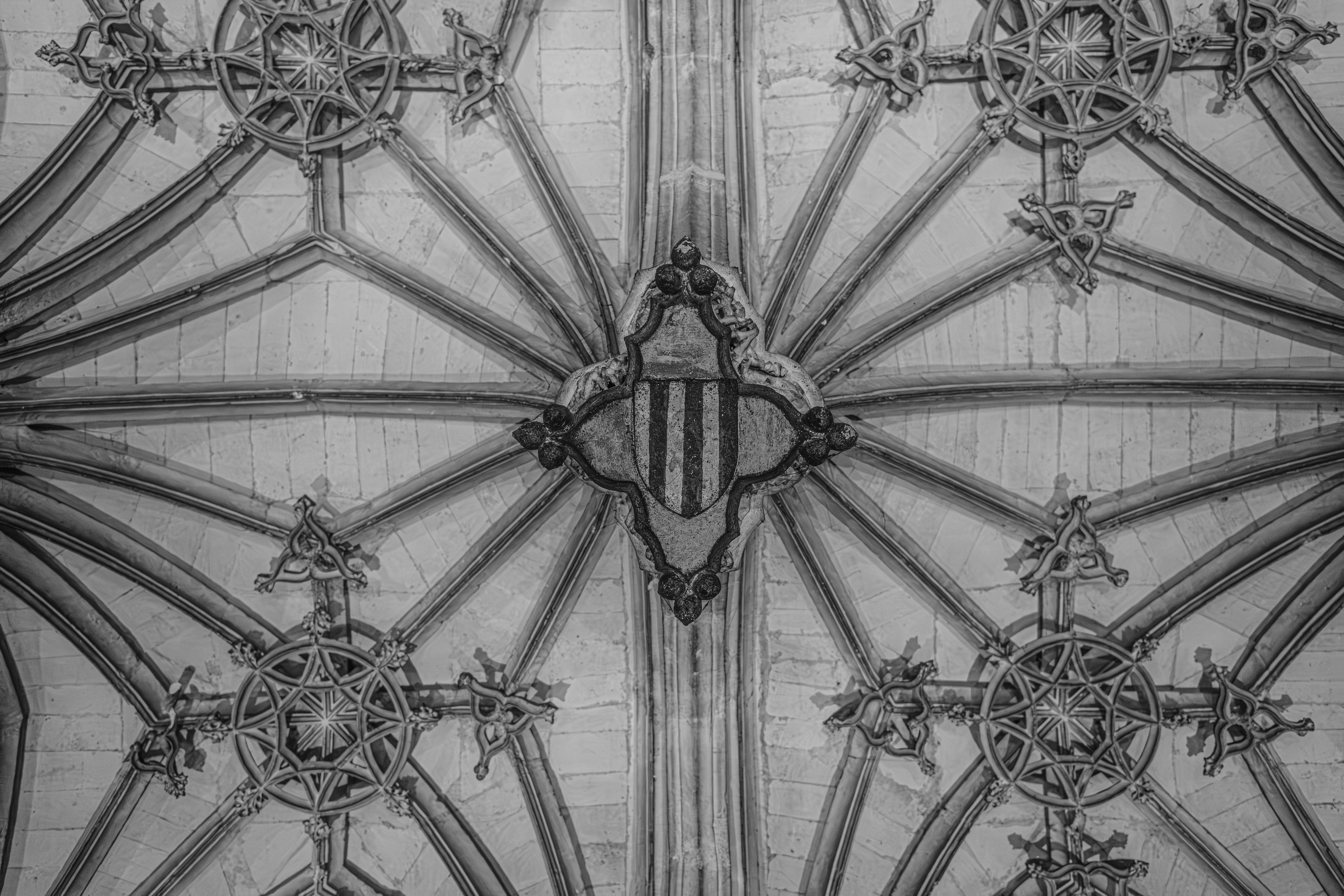 Ribbed Grace: A Gothic Cathedral Vault in Monochrome