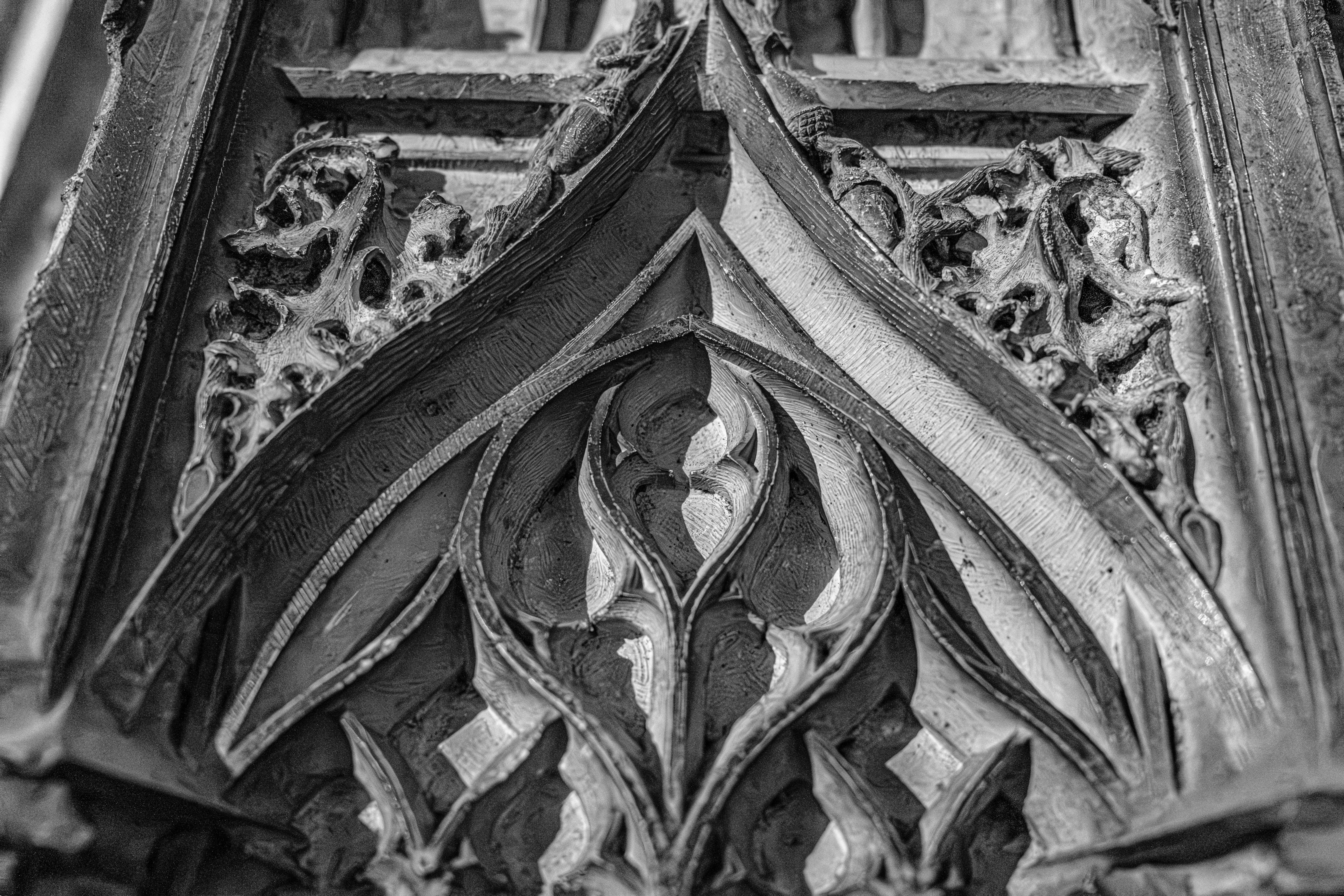 Gothic Carved Facade: Stone Lace in Monochrome