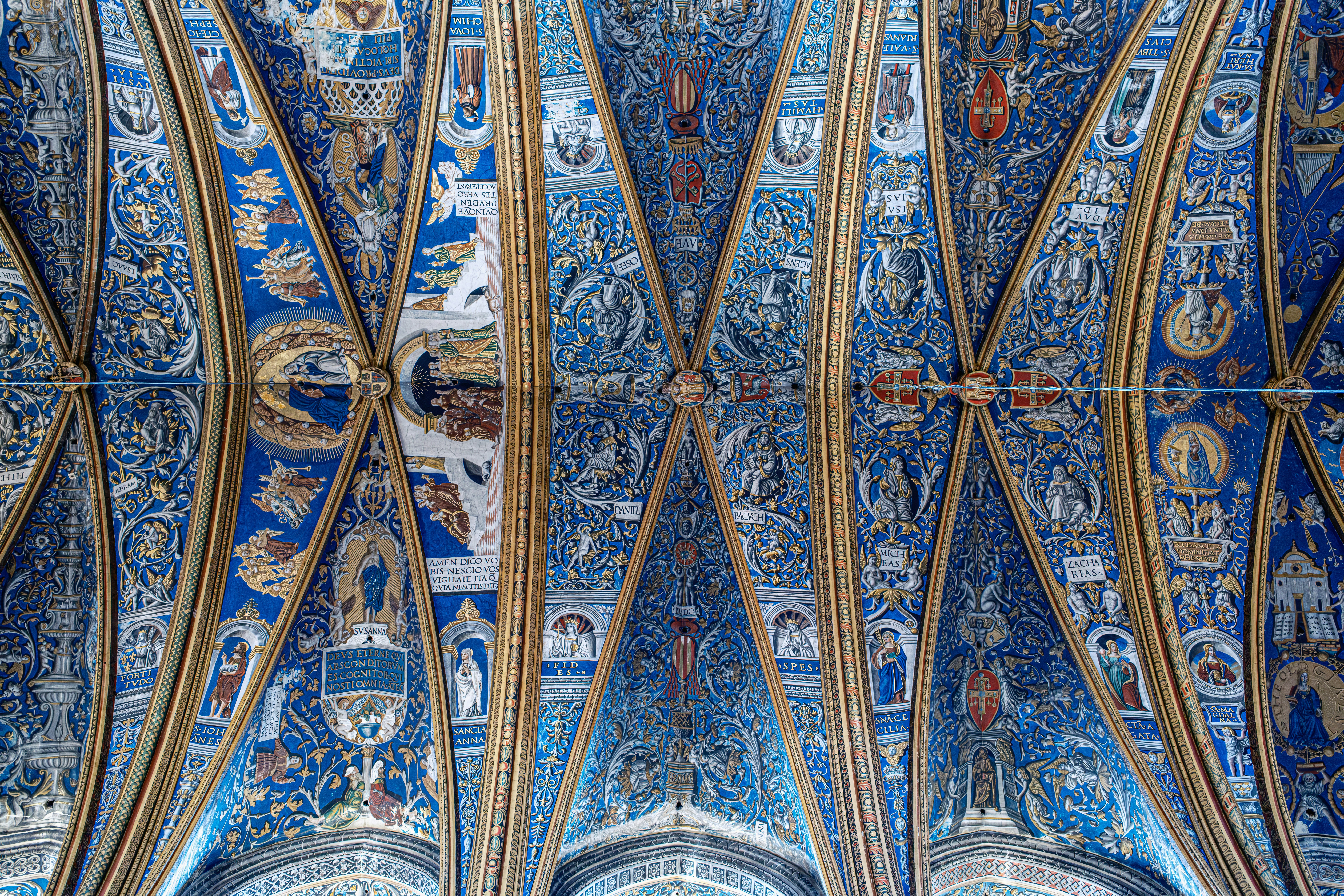 Ornate Blue Vault: Vessels and Ribs of a Sacred Ceiling