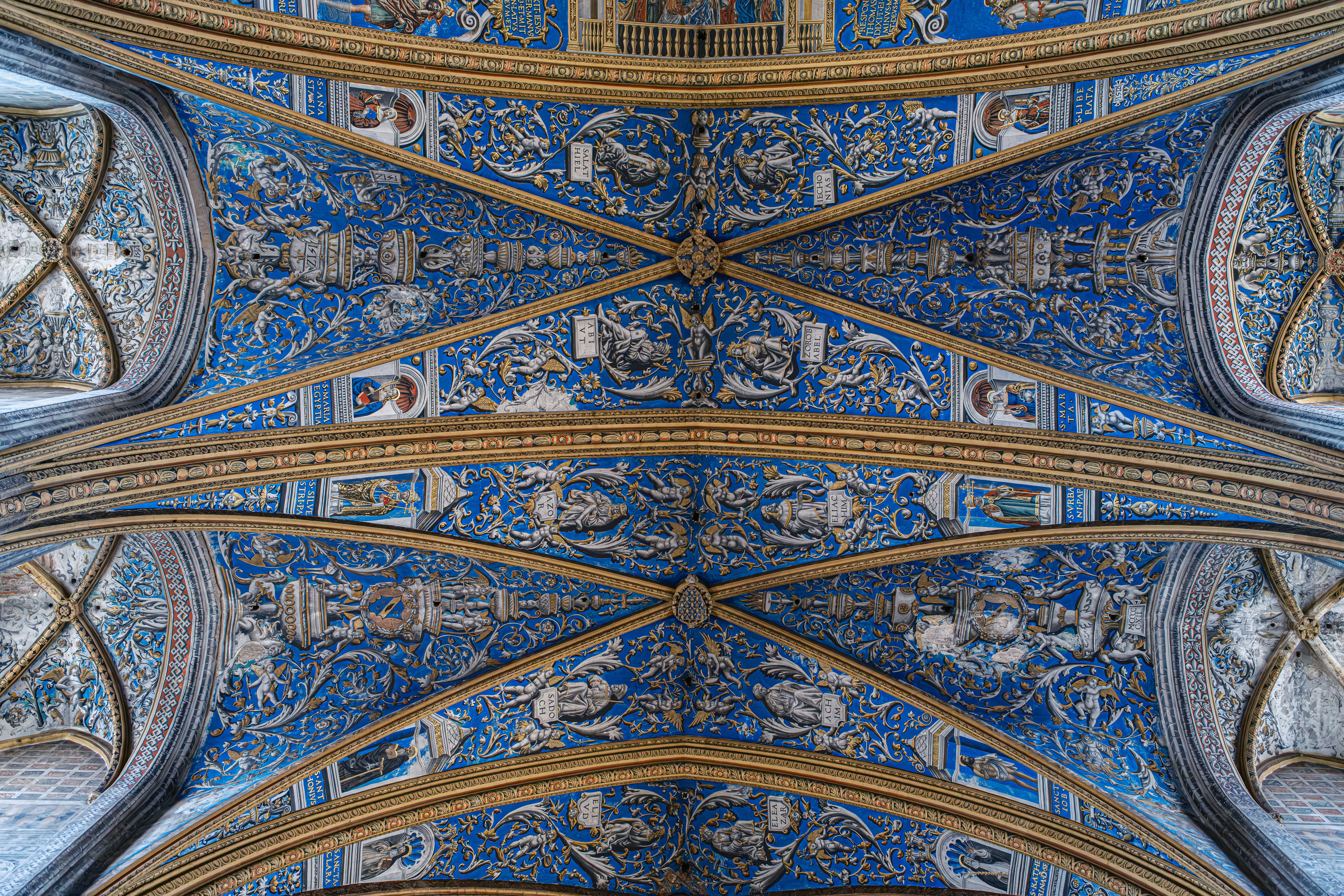 Vaulted Blue: Intricate Gothic Ceiling Framed by Angled Arches