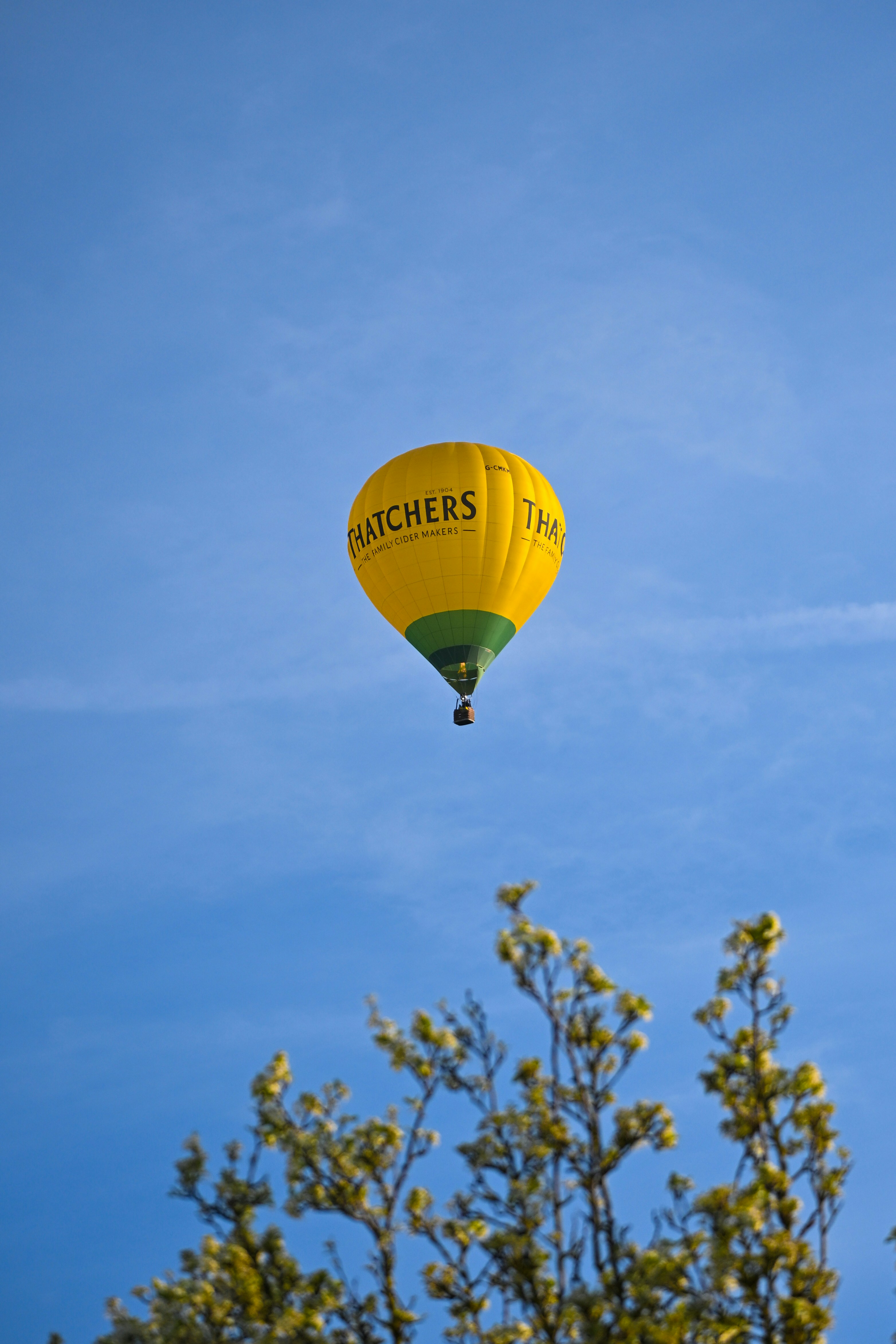 Yellow Balloon in a Clear Blue Sky Over Verdant Foliage