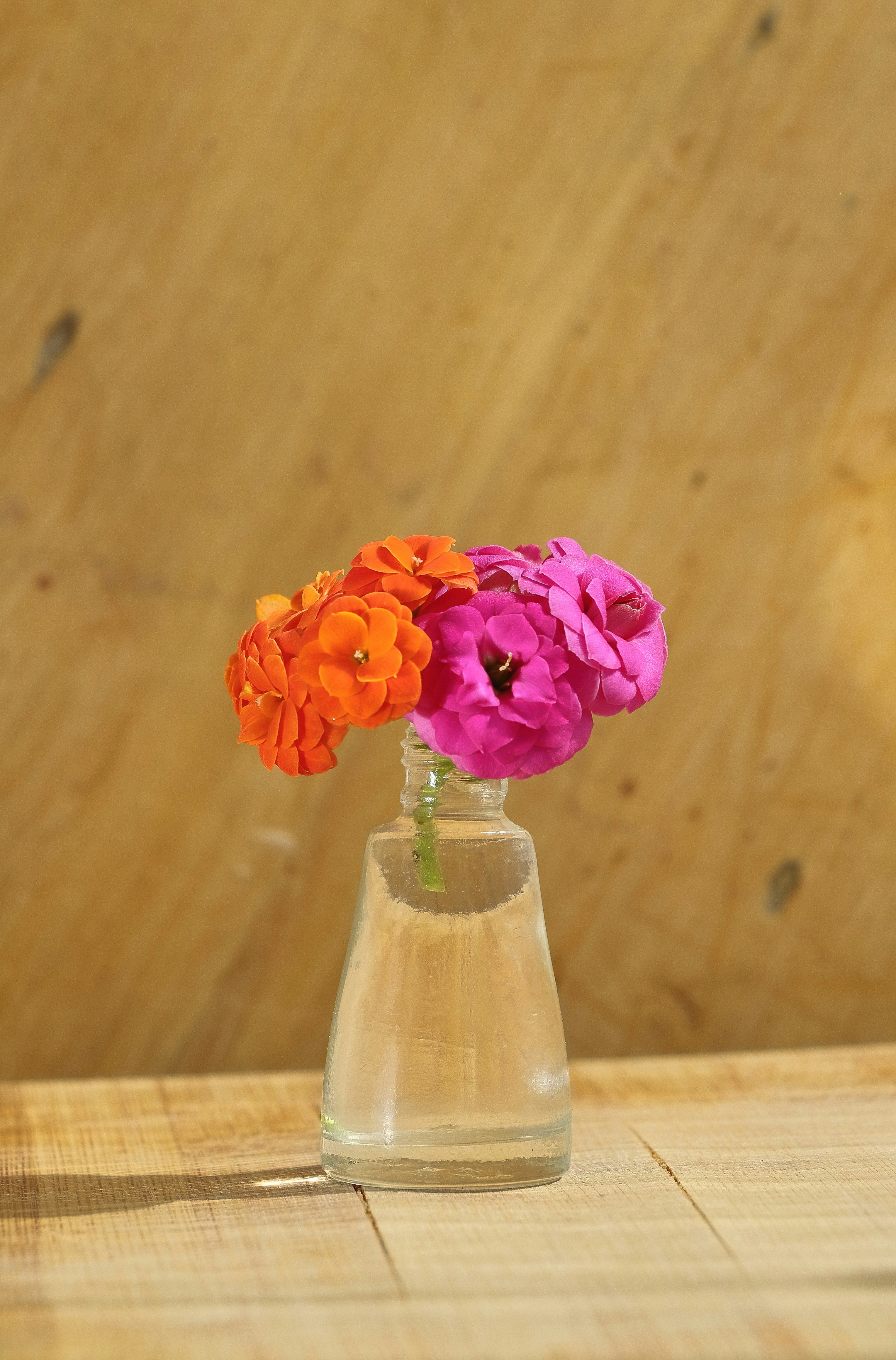 Vivid blooms in a glass vase set against weathered wood