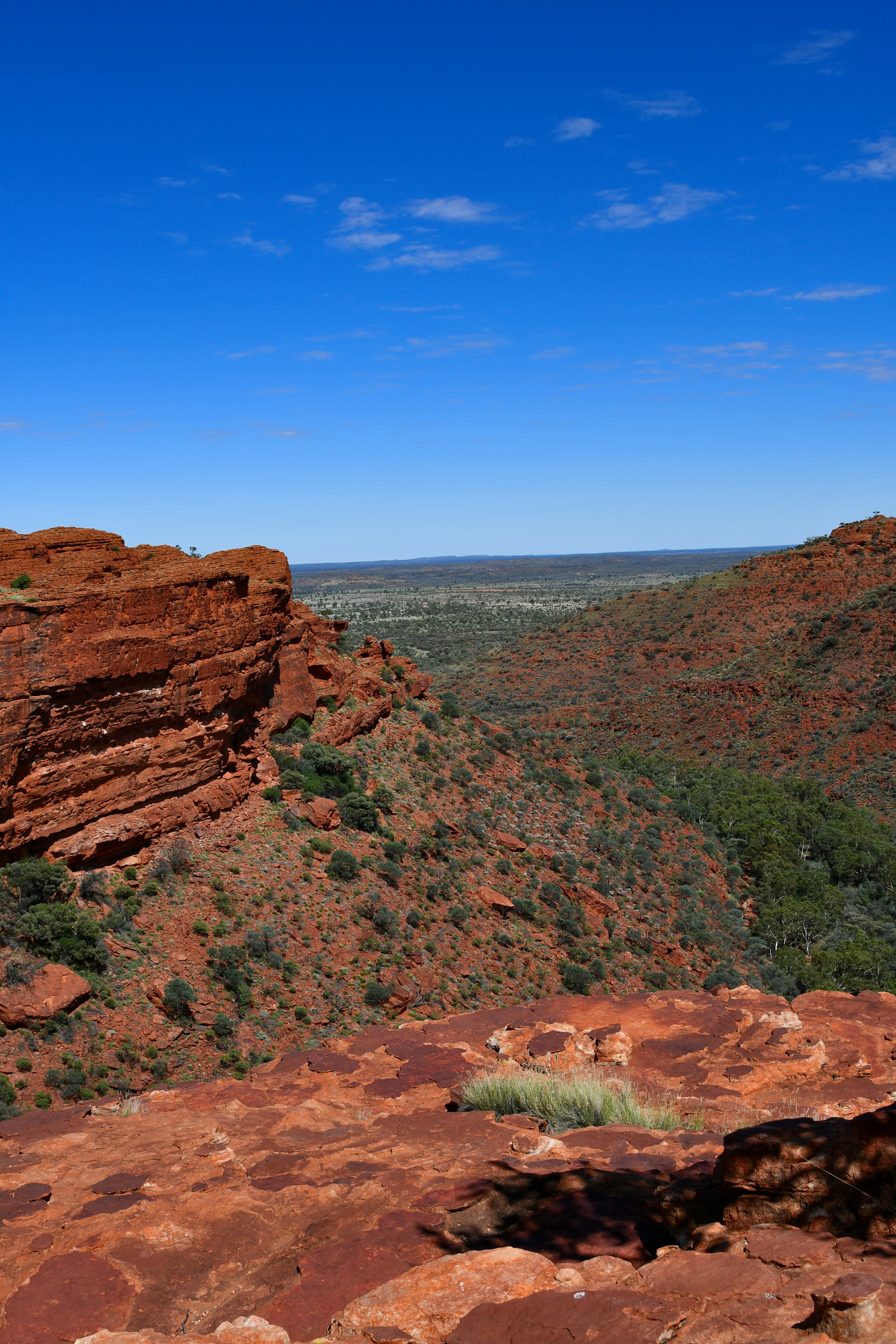 Red Canyon Vista: Edge of Red Earth and Open Sky