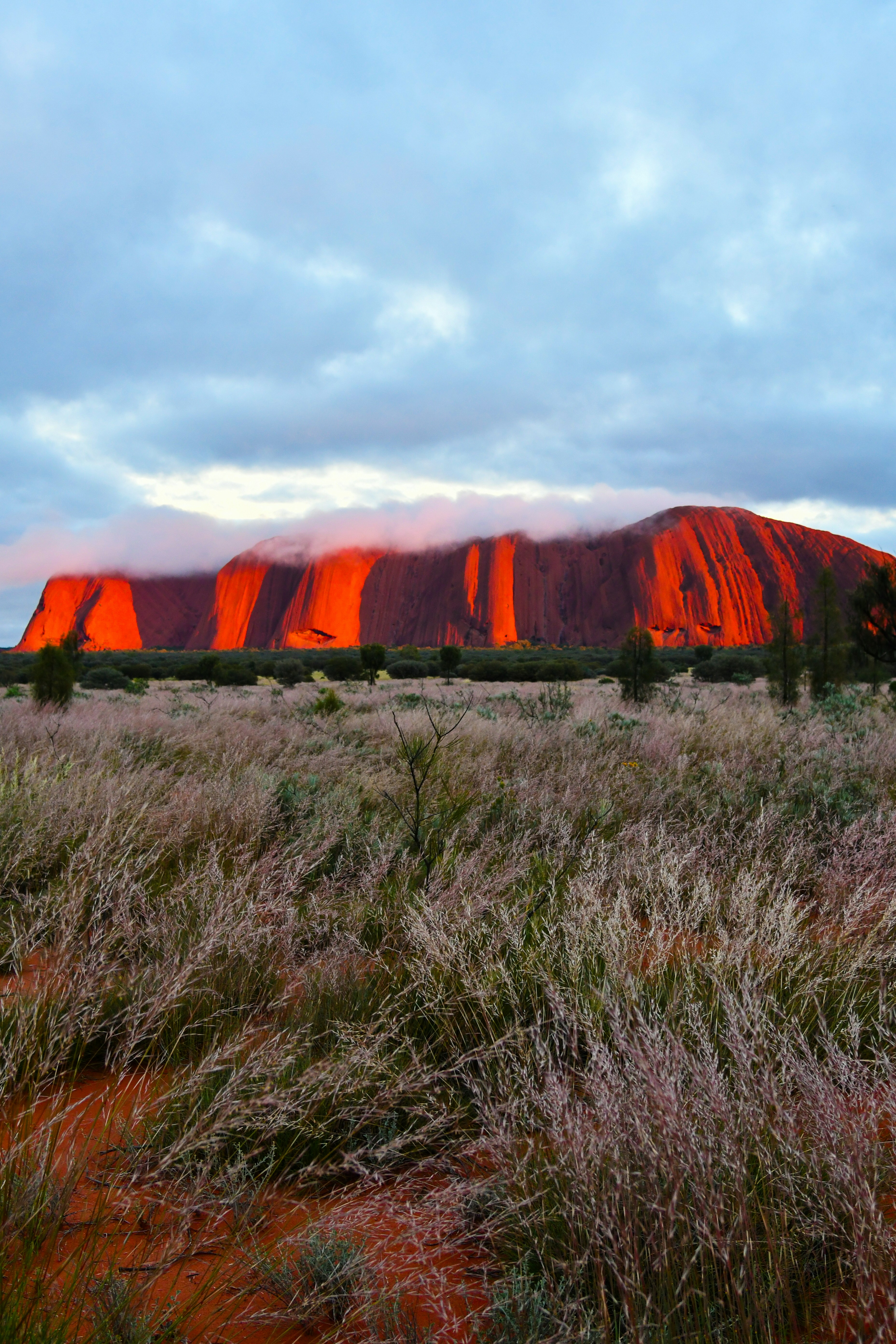 Fiery Monolith at Dusk: Uluru Rising Above Desert Grassland