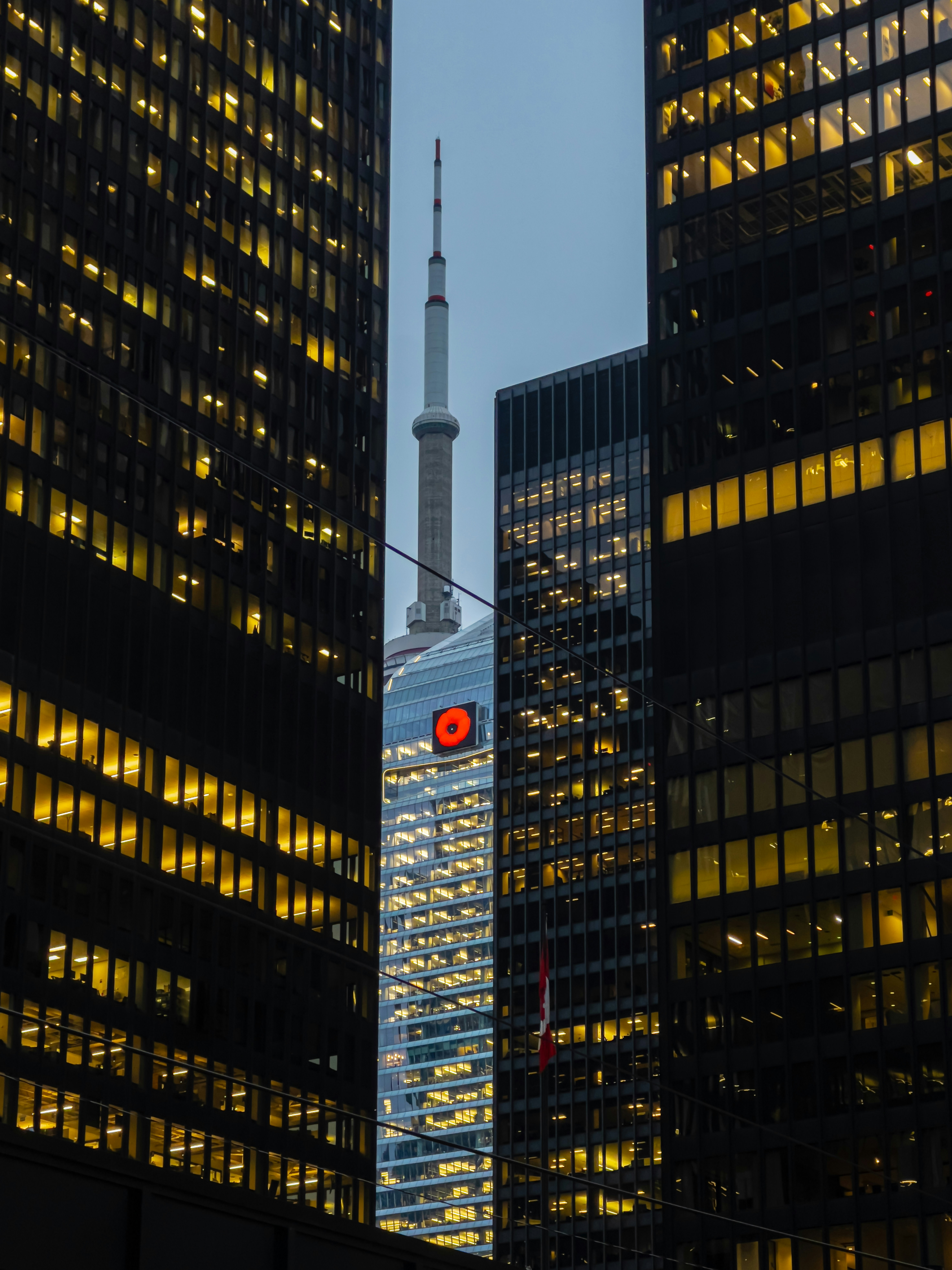 Between Towers: The Needle Rising Through Glass Canopies